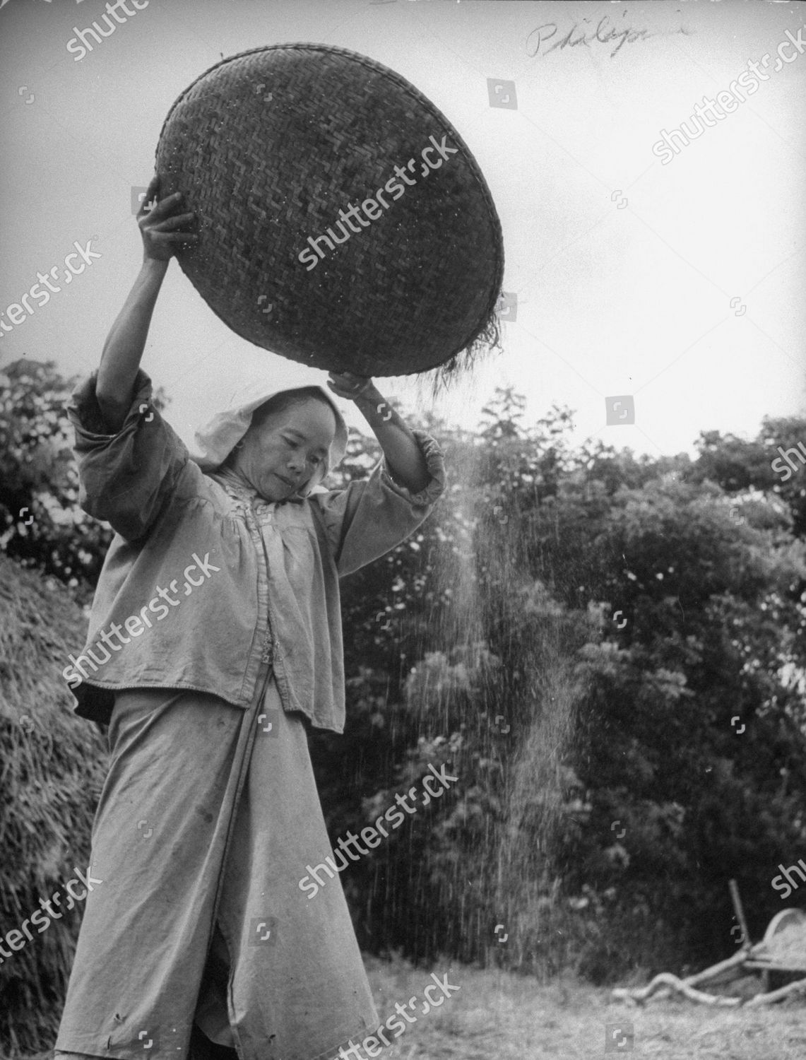 July 1946 Woman Doing Winnowing Process Editorial Stock Photo - Stock ...