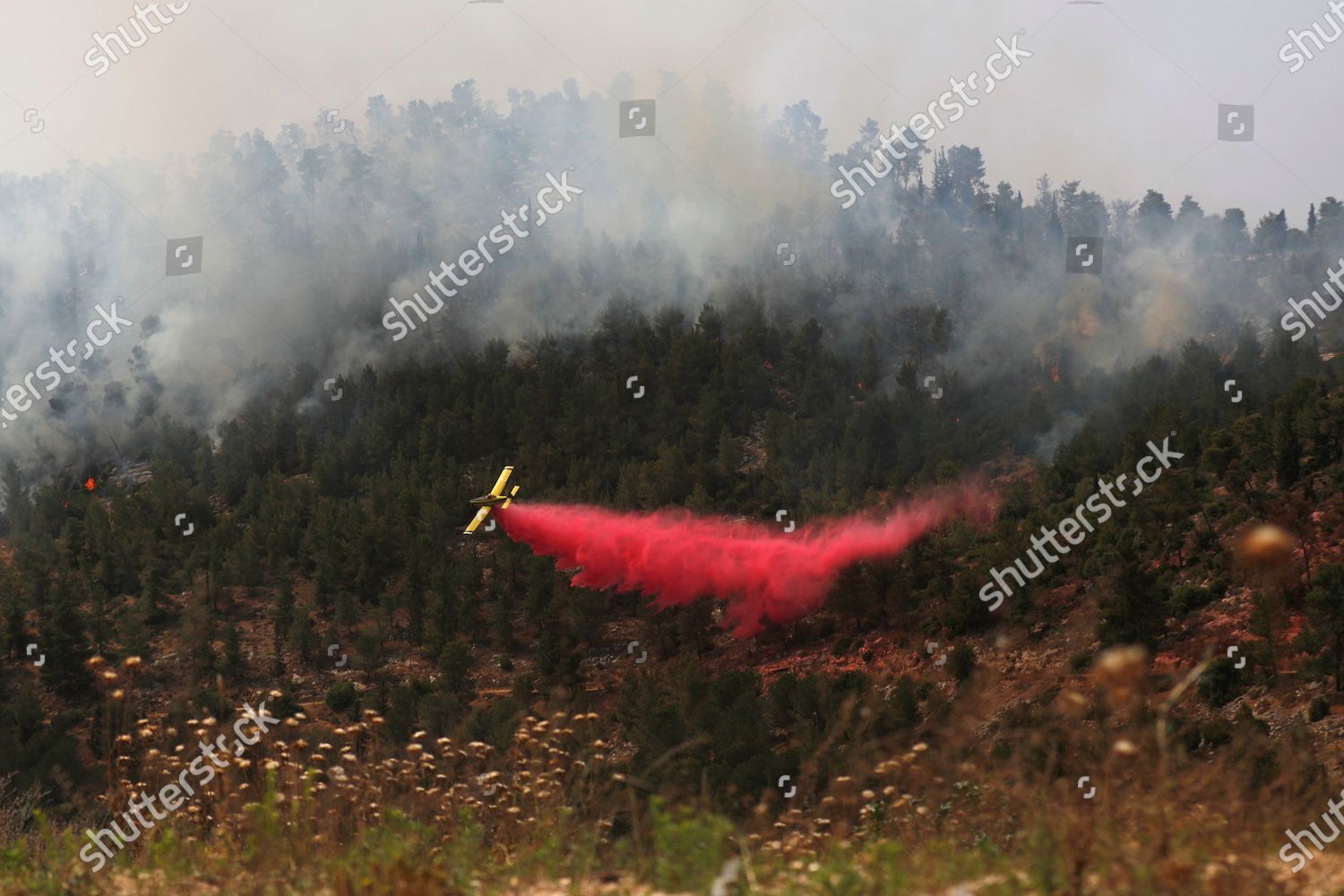 Firefighting Aircraft Participates Battle Extinguish Fire Editorial ...