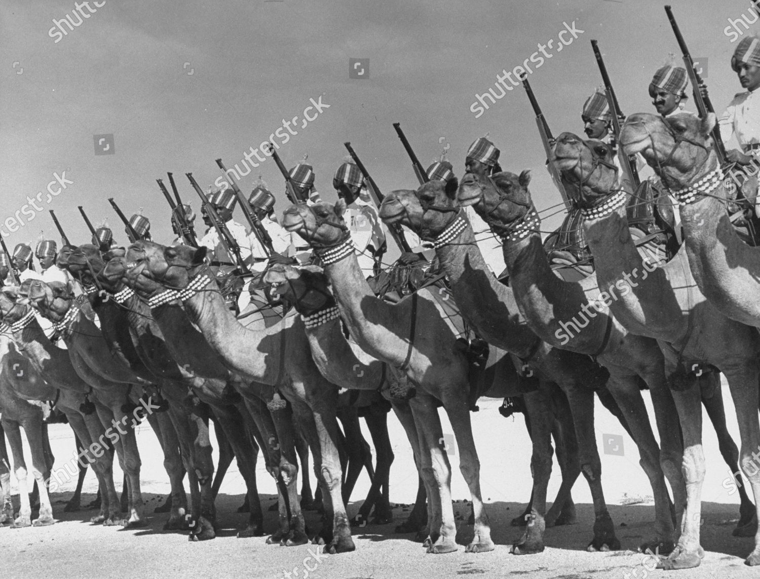 Circa 1946 Indian Camel Cavalry Resplendent Editorial Stock Photo ...