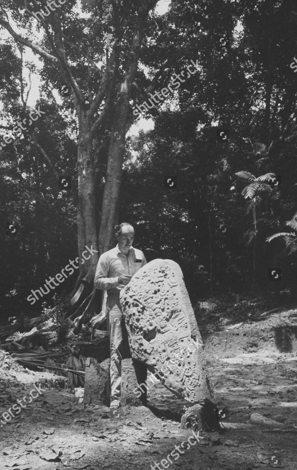 Dr Edwin Shook Examining Glyphs Editorial Stock Photo - Stock Image ...