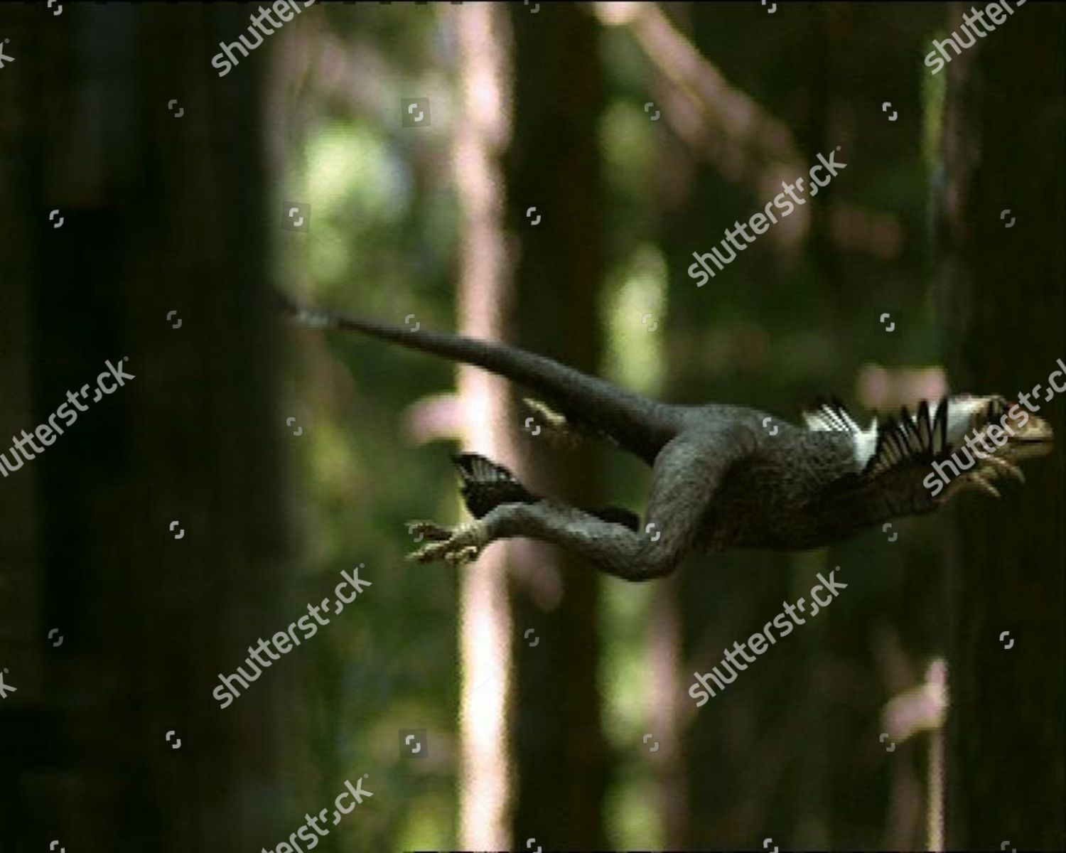 Screen Grab Shows Microraptor Editorial Stock Photo - Stock Image ...