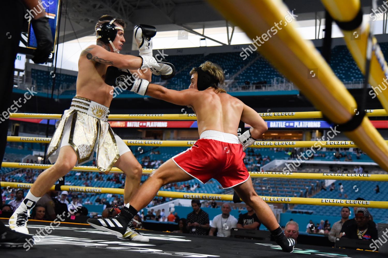 Ryan Johnston Left Cale Sausage Fight Editorial Stock Photo - Stock ...
