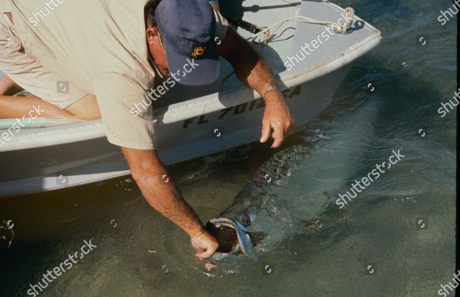 Man Catching Tarpon Water 1960 Editorial Stock Photo - Stock Image ...
