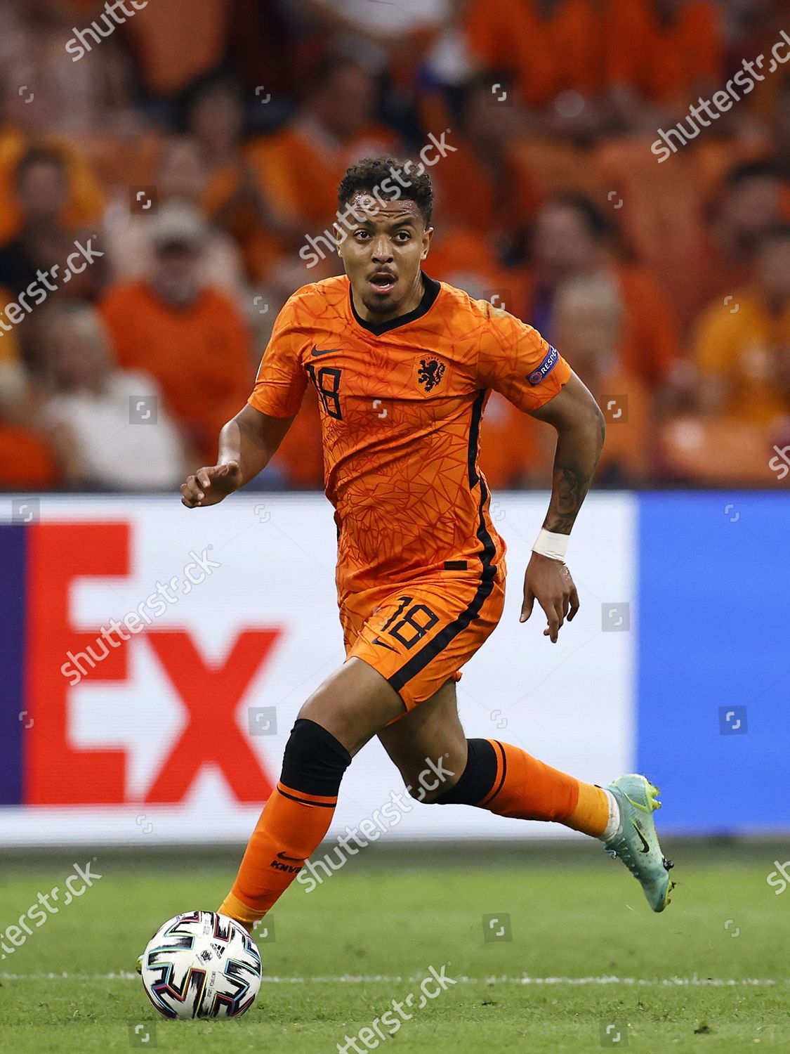 Donyell Malen Holland During Uefa Euro Editorial Stock Photo - Stock ...