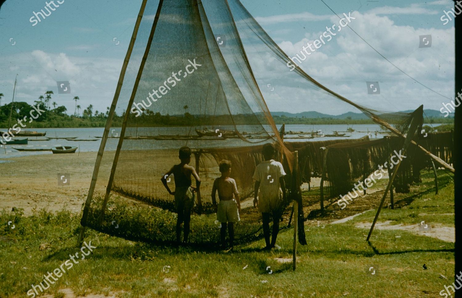 Three Young Boys Stand Among Fishing Editorial Stock Photo - Stock ...