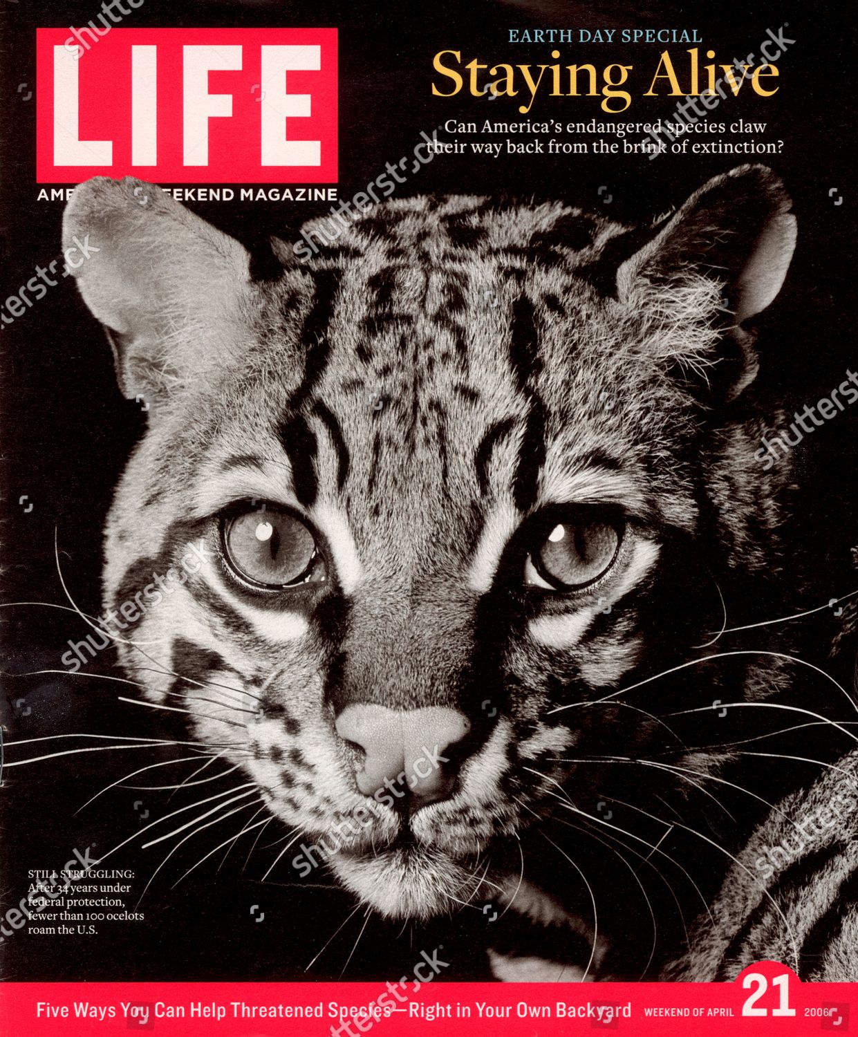 Cover Life Magazine Features Closeup Portrait Editorial Stock Photo ...