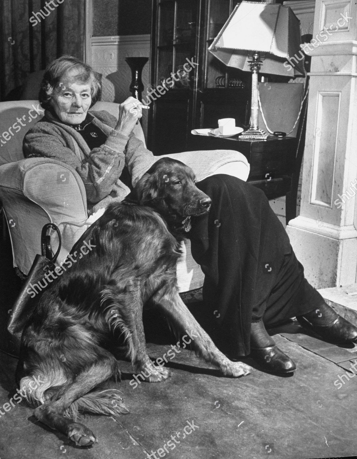 Sean Macbrides Mother Maud Gonne Macbride Editorial Stock Photo - Stock Image | Shutterstock