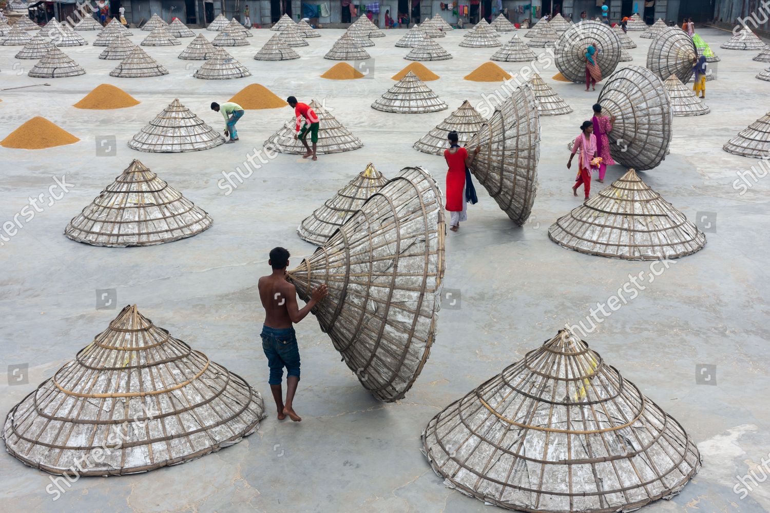 WORKERS MOVE RICE INTO SMALL MOUNDS Editorial Stock Photo - Stock Image ...