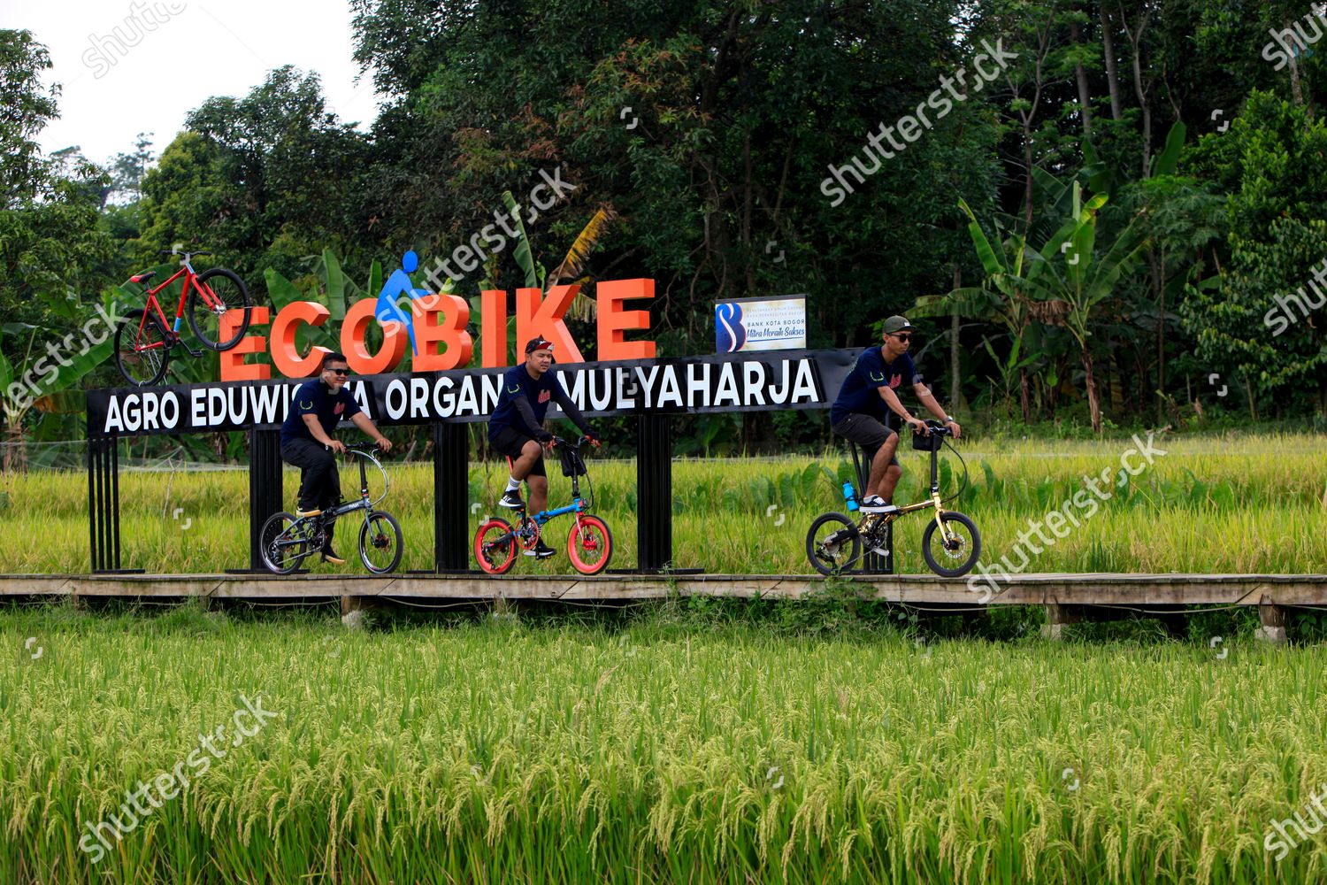 Cyclists Ride On Cycle Track Along Editorial Stock Photo - Stock Image ...