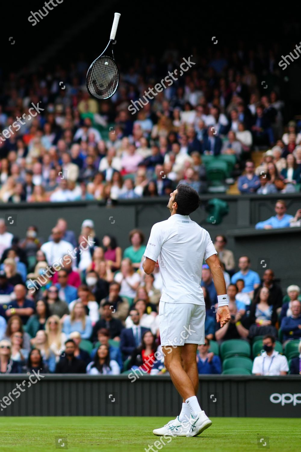 Novak Djokovic Throws His Racquet Into Editorial Stock Photo - Stock ...