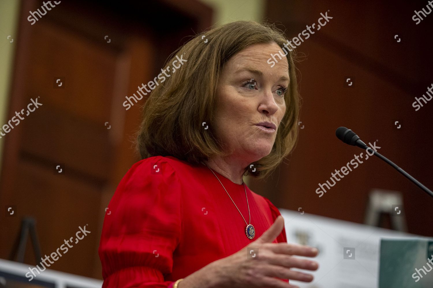Rep Kathleen Rice Dny Other Representatives Editorial Stock Photo ...
