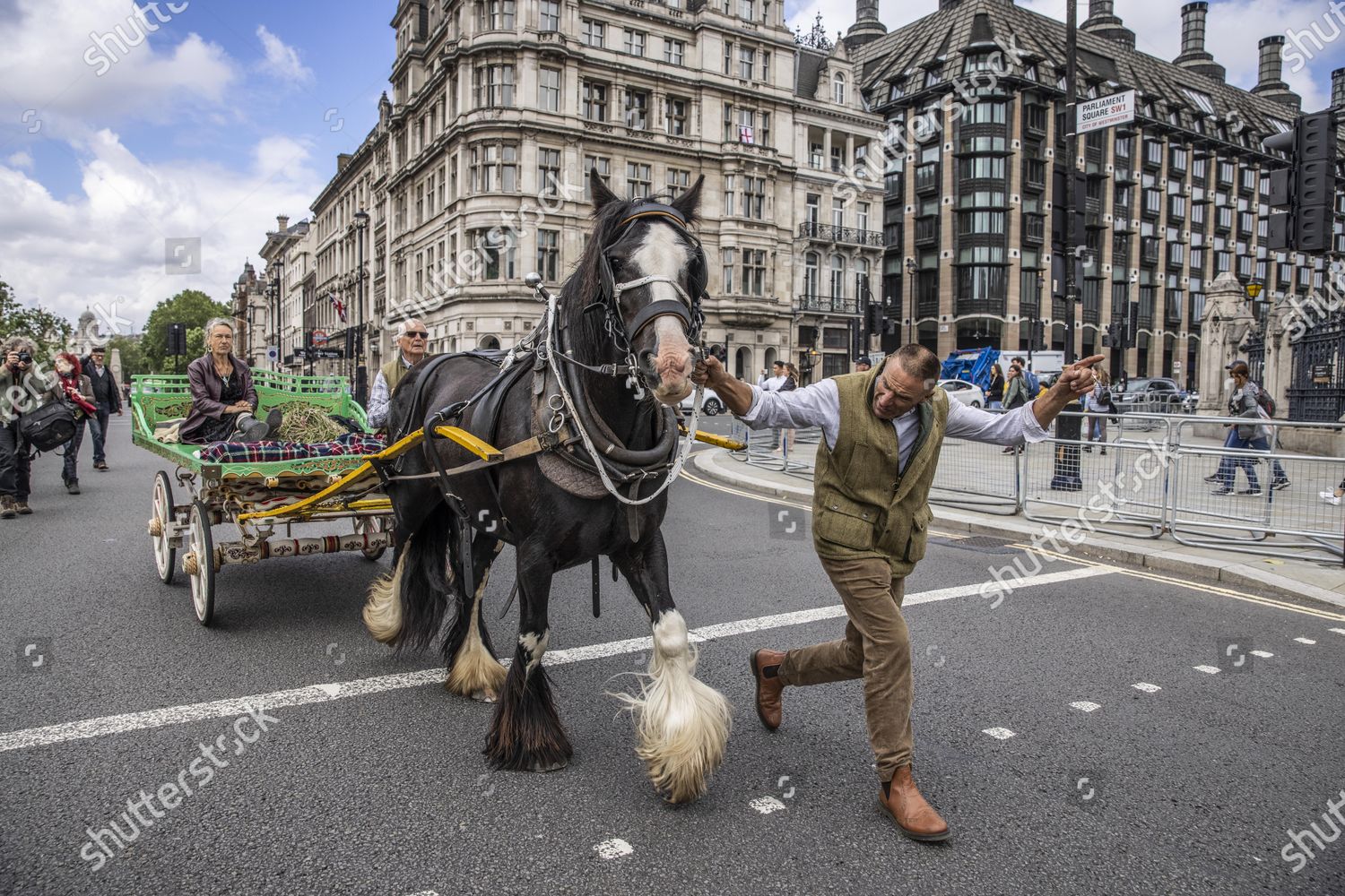 Romany Gypsies Irish Travellers Come Together Editorial Stock Photo ...