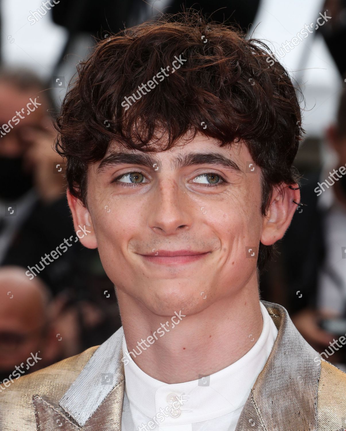 Timothee Chalamet Editorial Stock Photo - Stock Image | Shutterstock