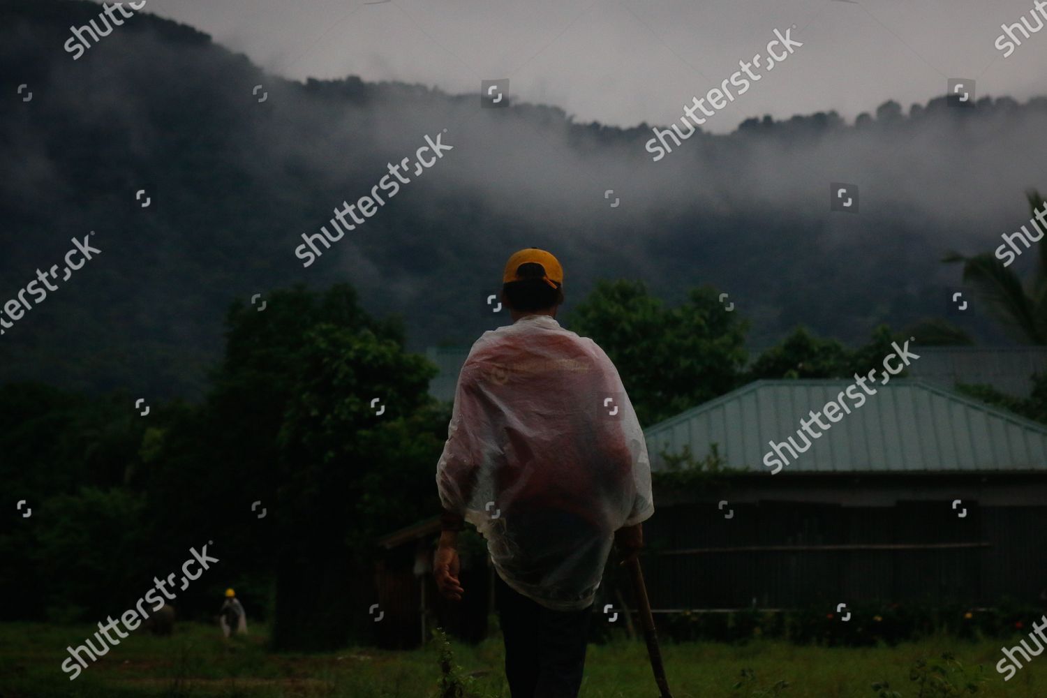 Rice Farmers Calawis Antipolo City Philippines Editorial Stock Photo ...