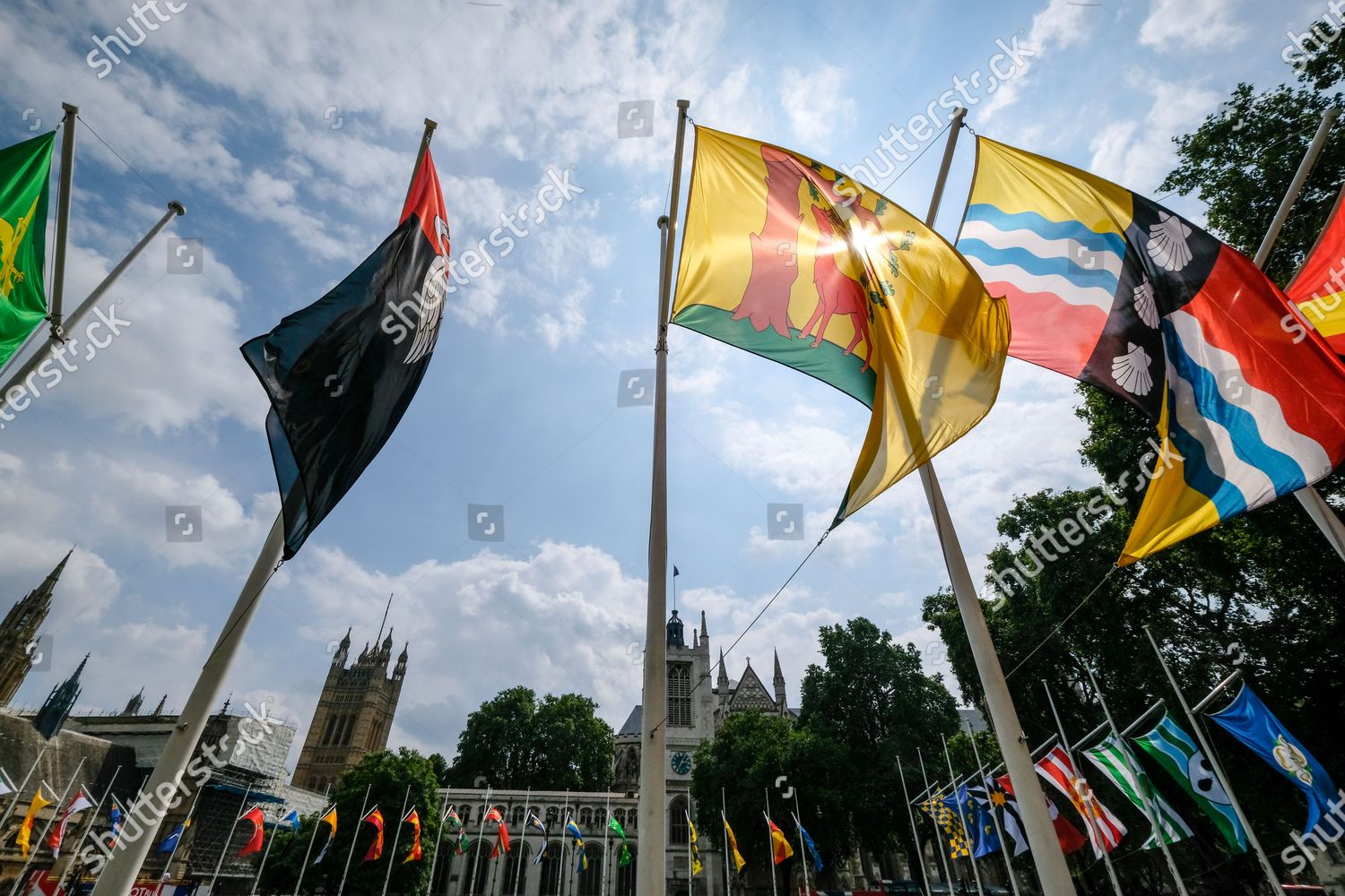 50 Historic County Flags Flying Parliament Editorial Stock Photo ...