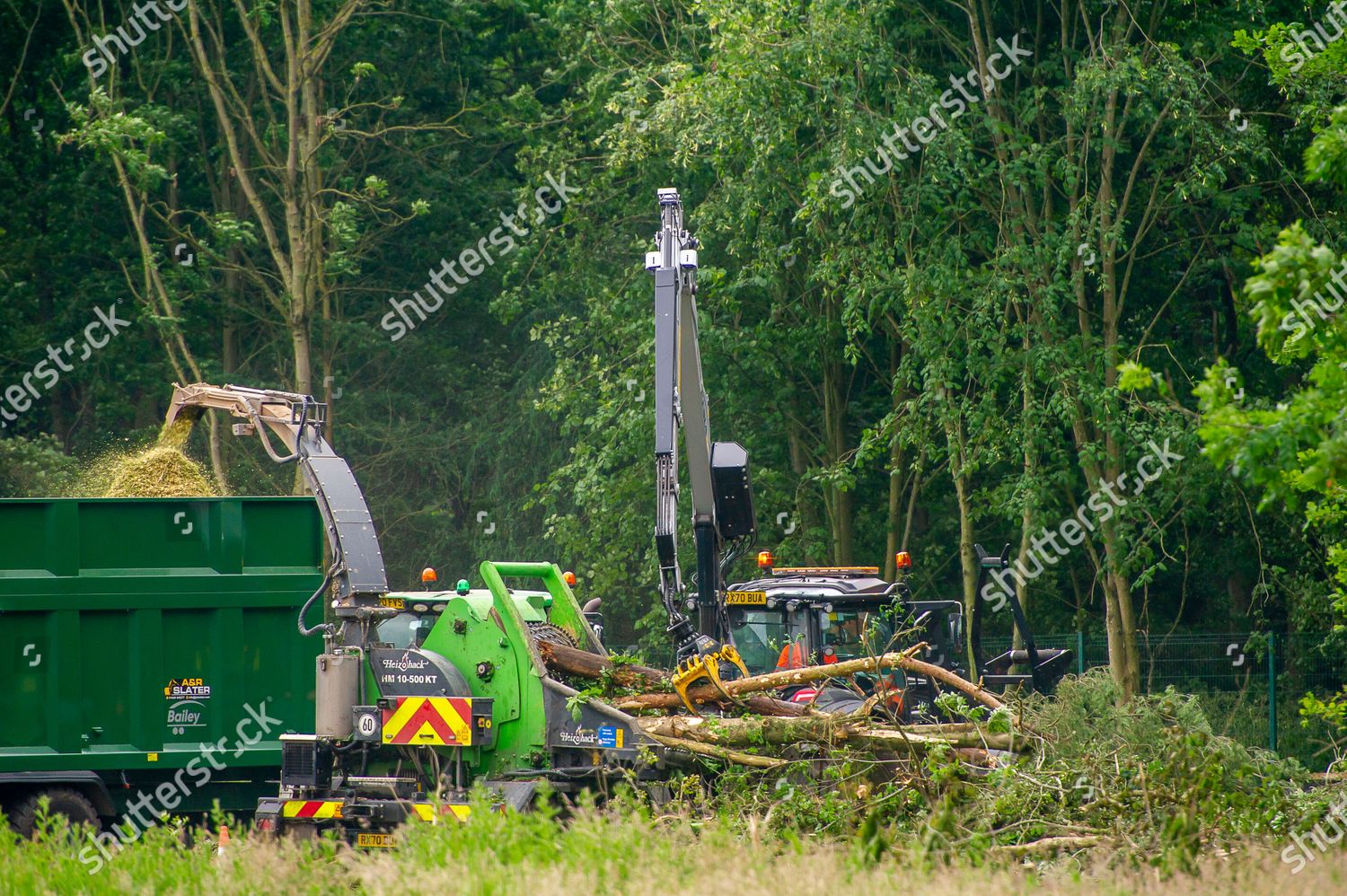 Tree Limbs Being Wood Chipped Immediately Editorial Stock Photo - Stock ...
