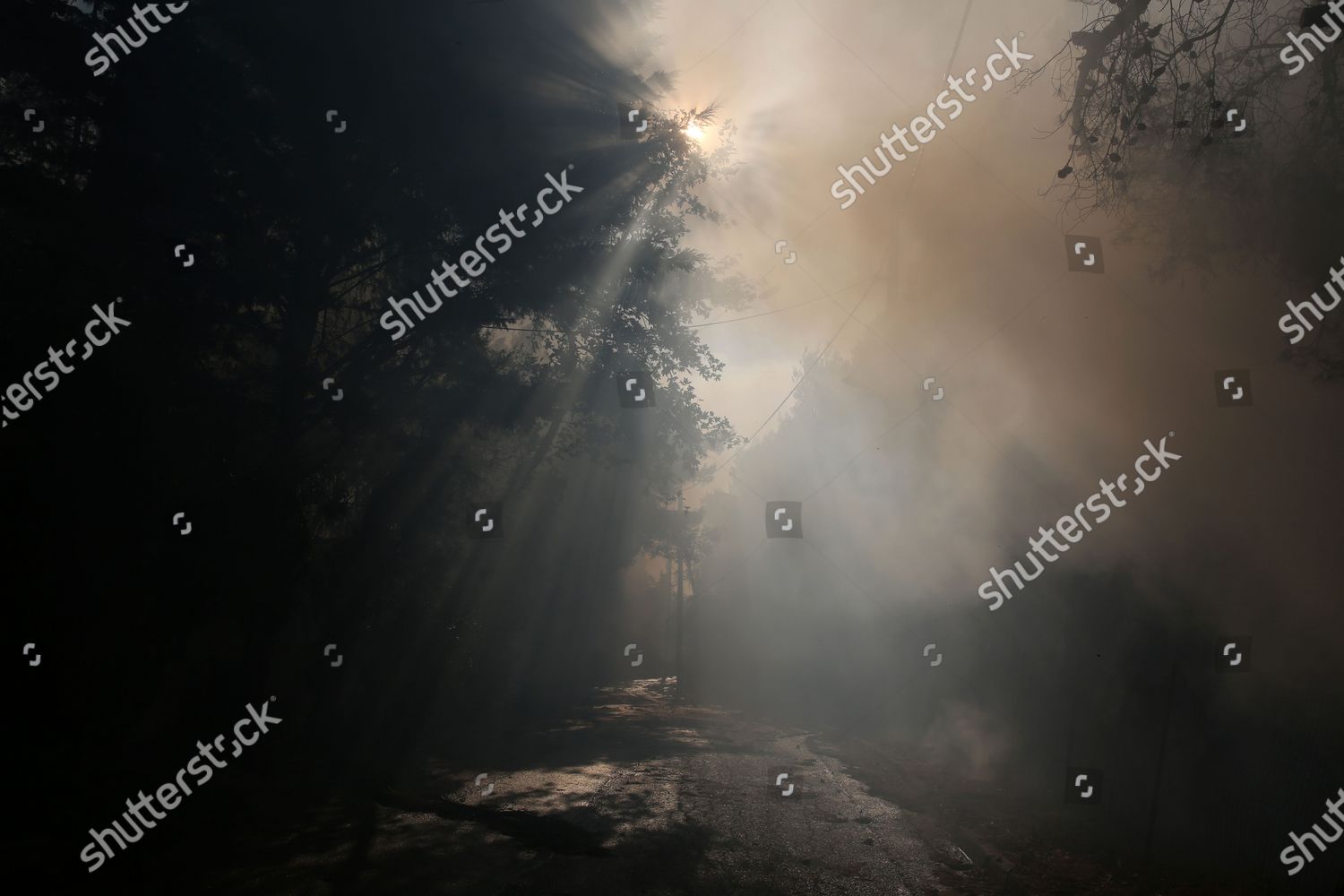 Sunbeams Pass Through Thick Smoke During Editorial Stock Photo - Stock ...