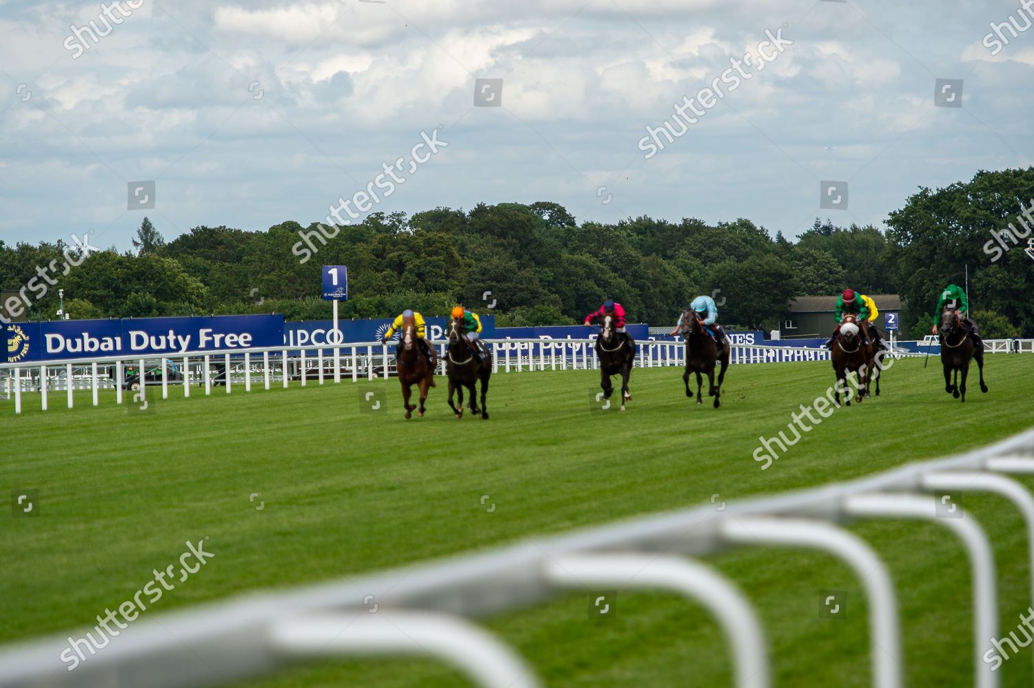 Jockey Tadhg Oshea Lead On Horse Editorial Stock Photo - Stock Image ...