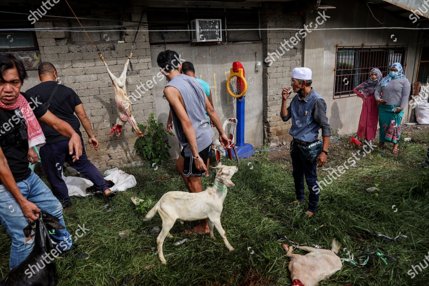 Filipino Muslims Slaughter Goats Sacrifice Mark Editorial Stock Photo ...