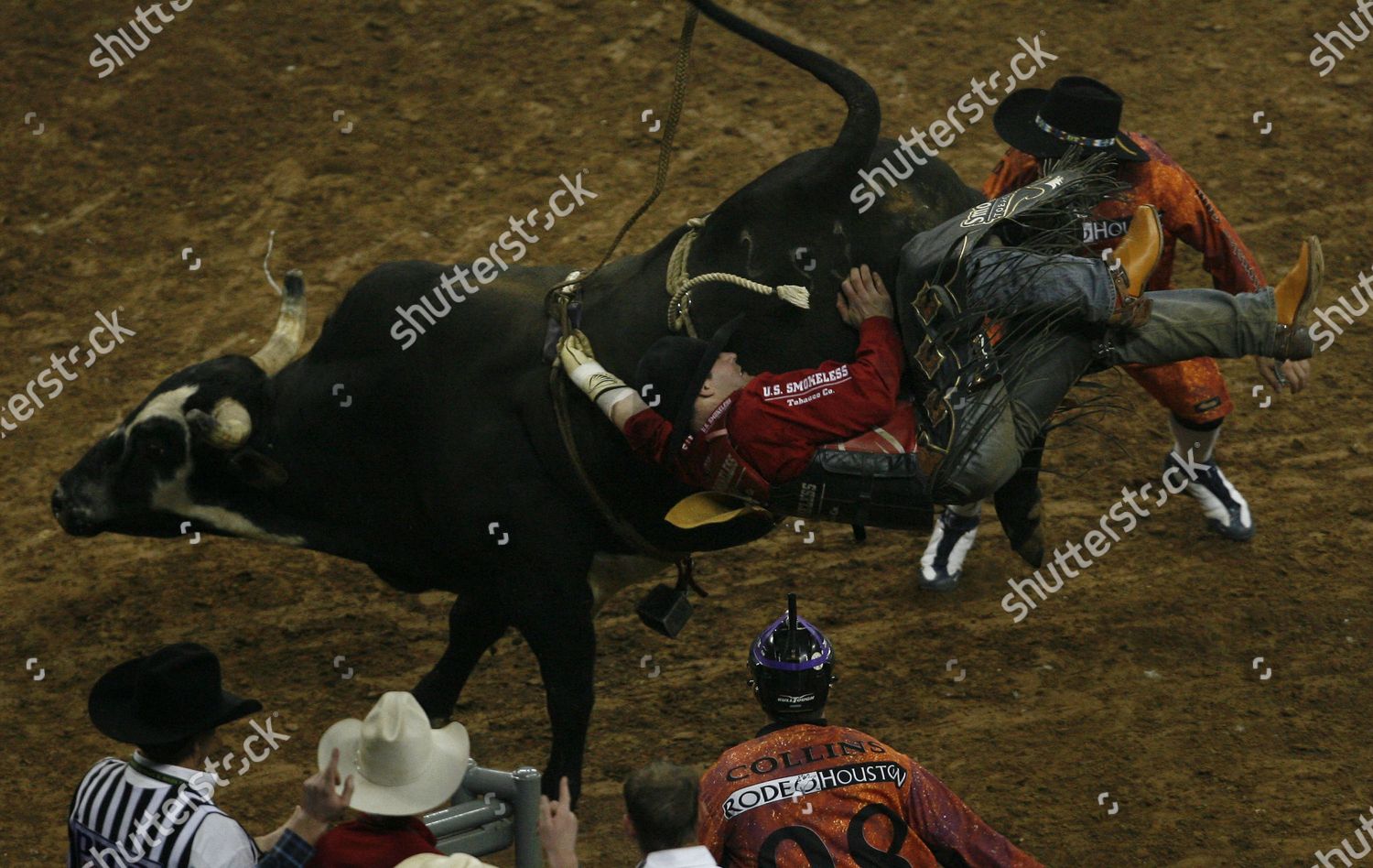Jesse Bail Holds Onto Bull During Editorial Stock Photo - Stock Image ...