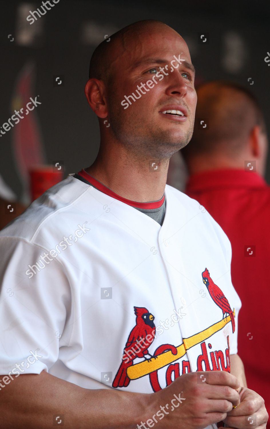 New St Louis Cardinals Left Fielder Editorial Stock Photo - Stock Image ...