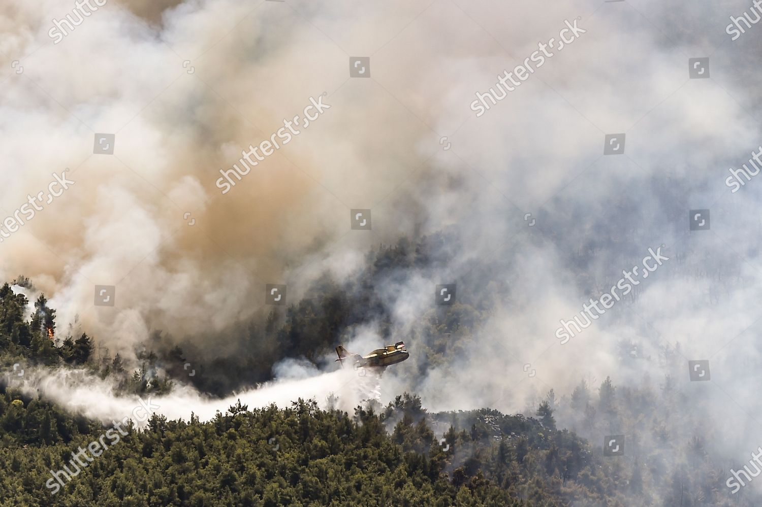 Firefighter Aircraft Operates During Wildfire Area Editorial Stock ...