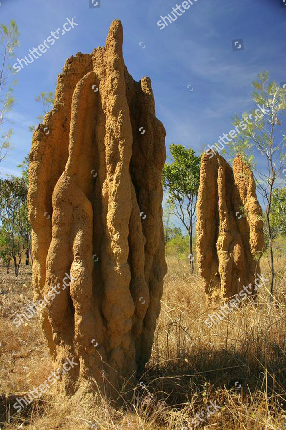 Termite Houses Australia Editorial Stock Photo - Stock Image | Shutterstock