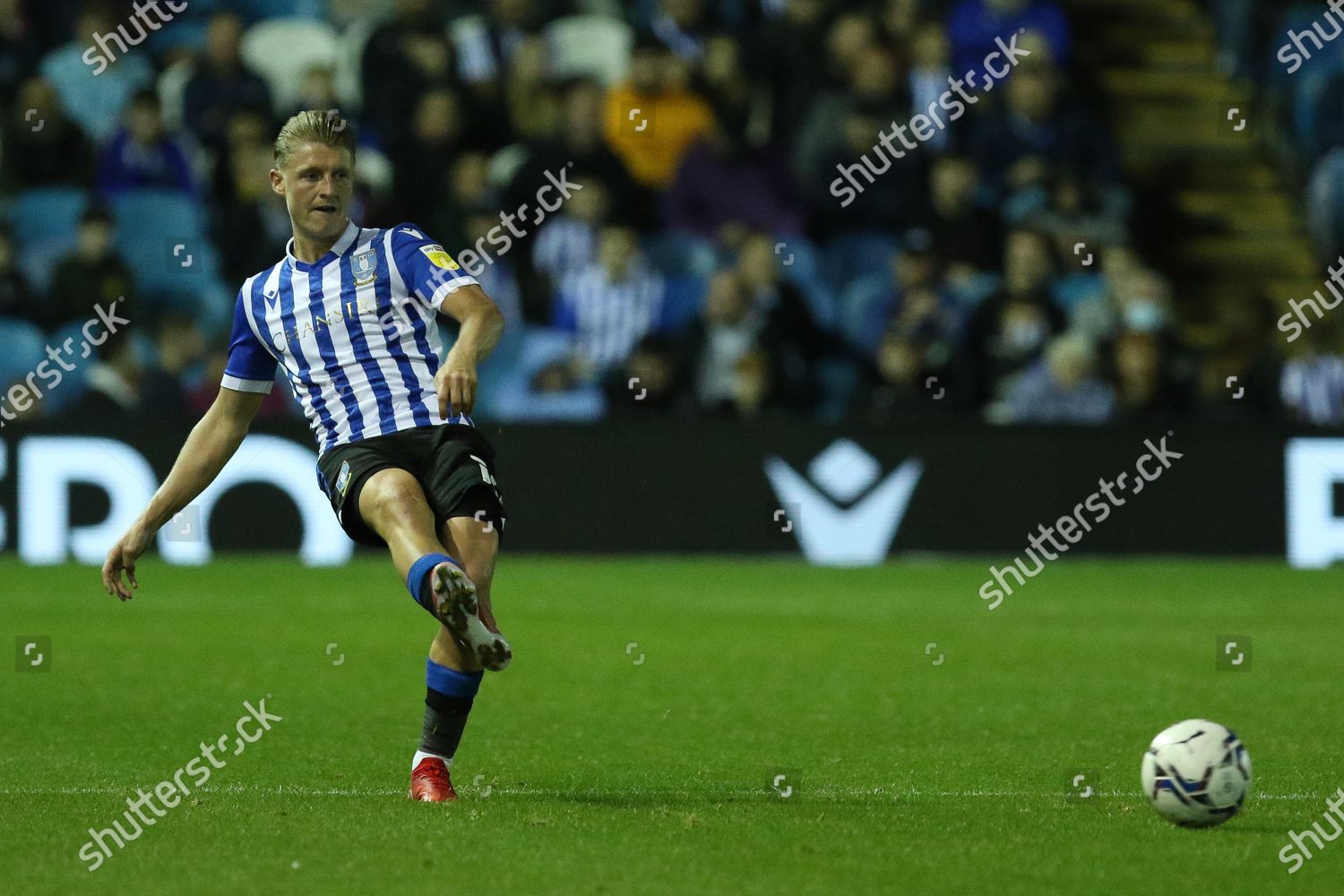 George Byers Sheffield Wednesday Action During Editorial Stock Photo ...