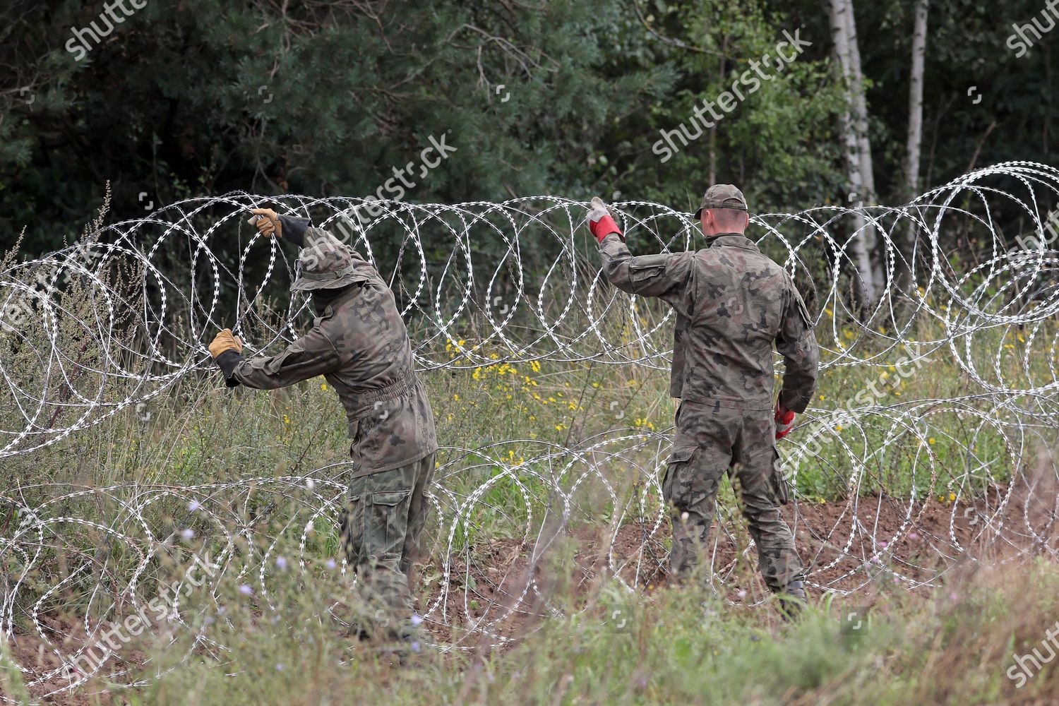 Barbed Wire Installed On Border Between Editorial Stock Photo - Stock ...