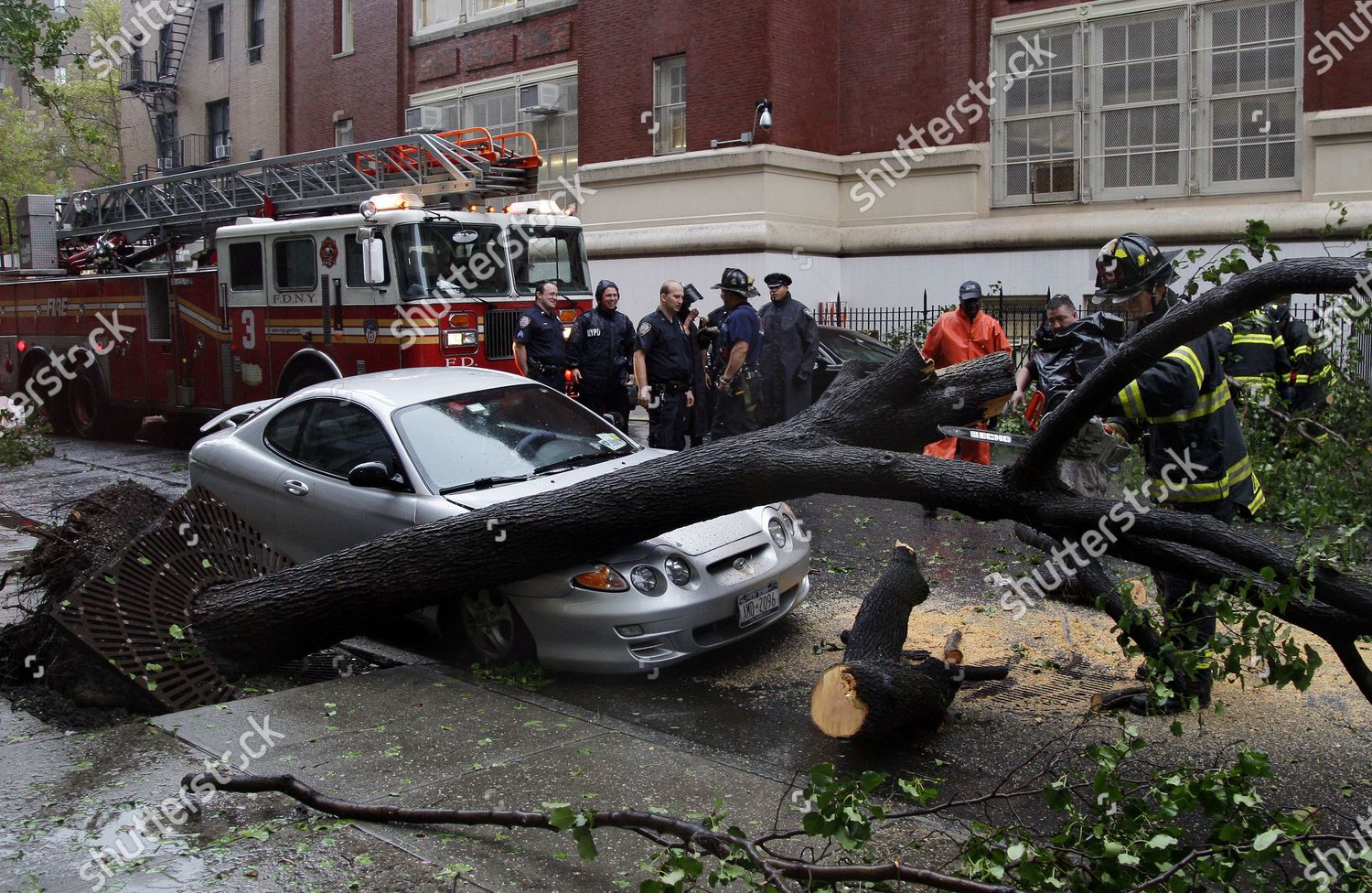 Police Firemen Remove Tree That Landed Editorial Stock Photo - Stock ...