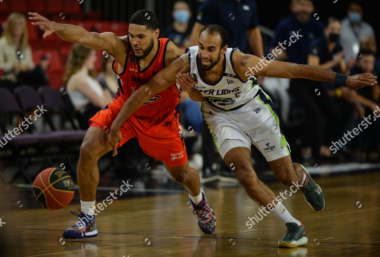 Niagara River Lions Philip Scrubb Action Editorial Stock Photo - Stock ...