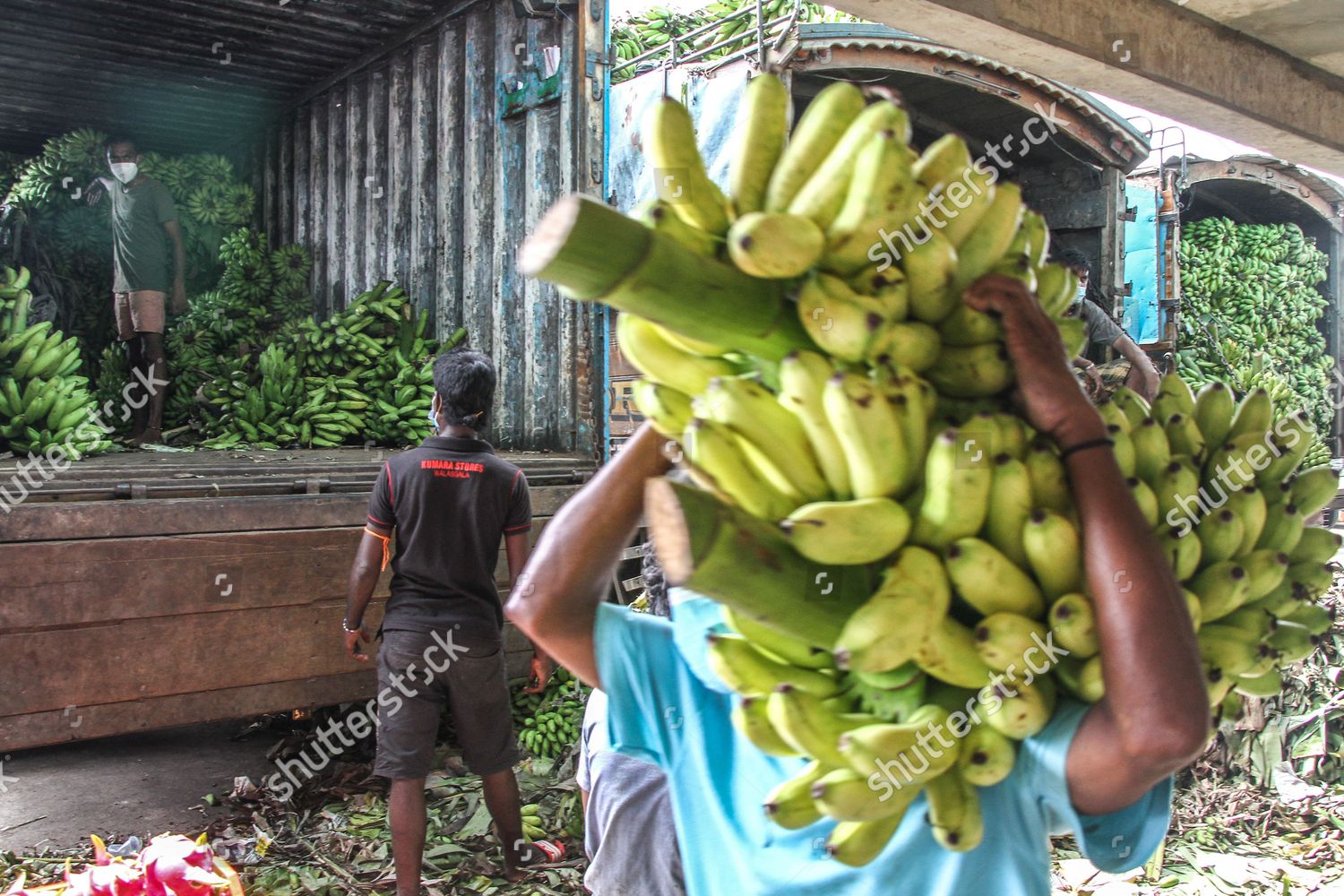 Vendors Banana Section Manning Market Colombo Editorial Stock Photo ...