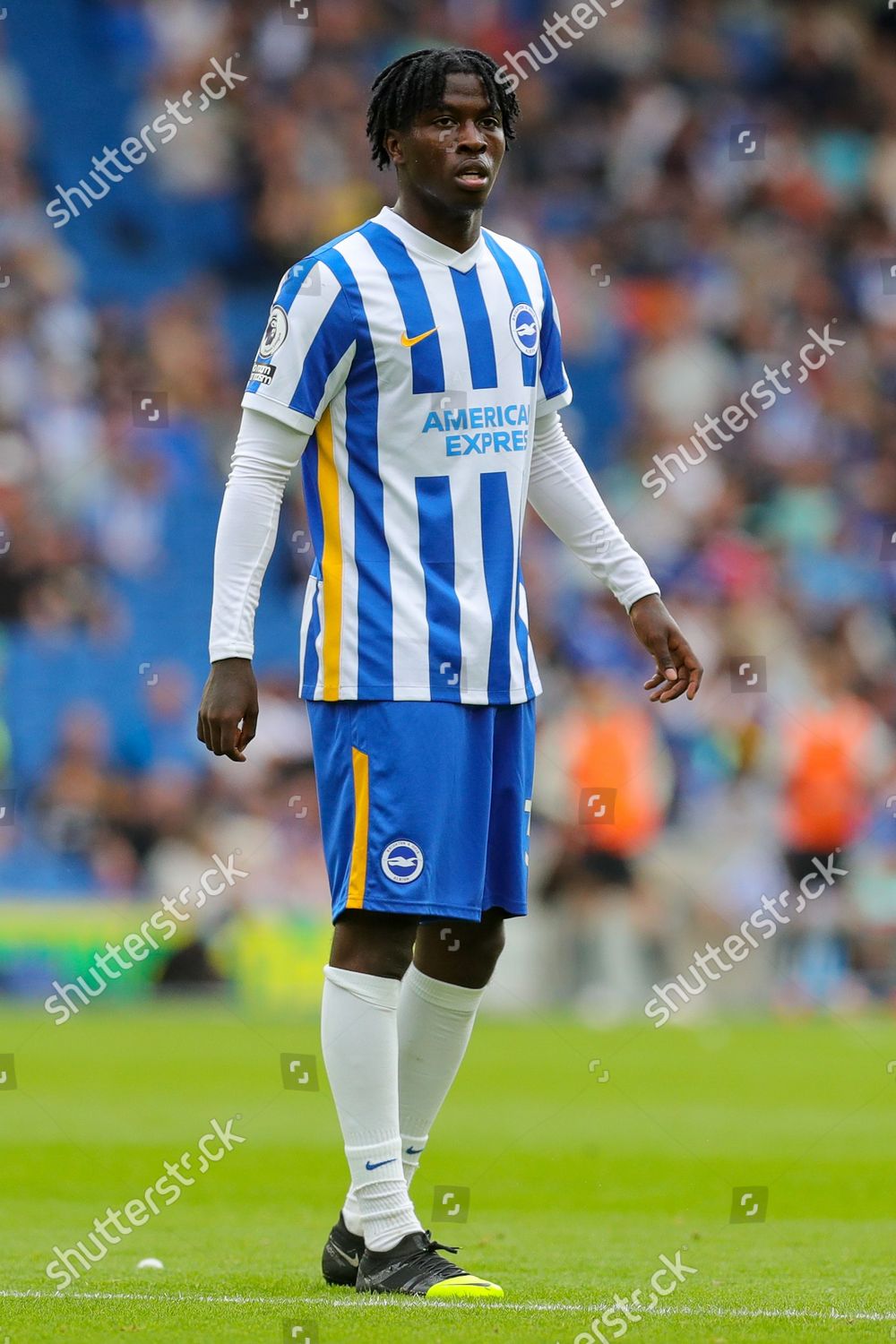 Brighton Hove Albion Forward Percy Tau Editorial Stock Photo - Stock ...