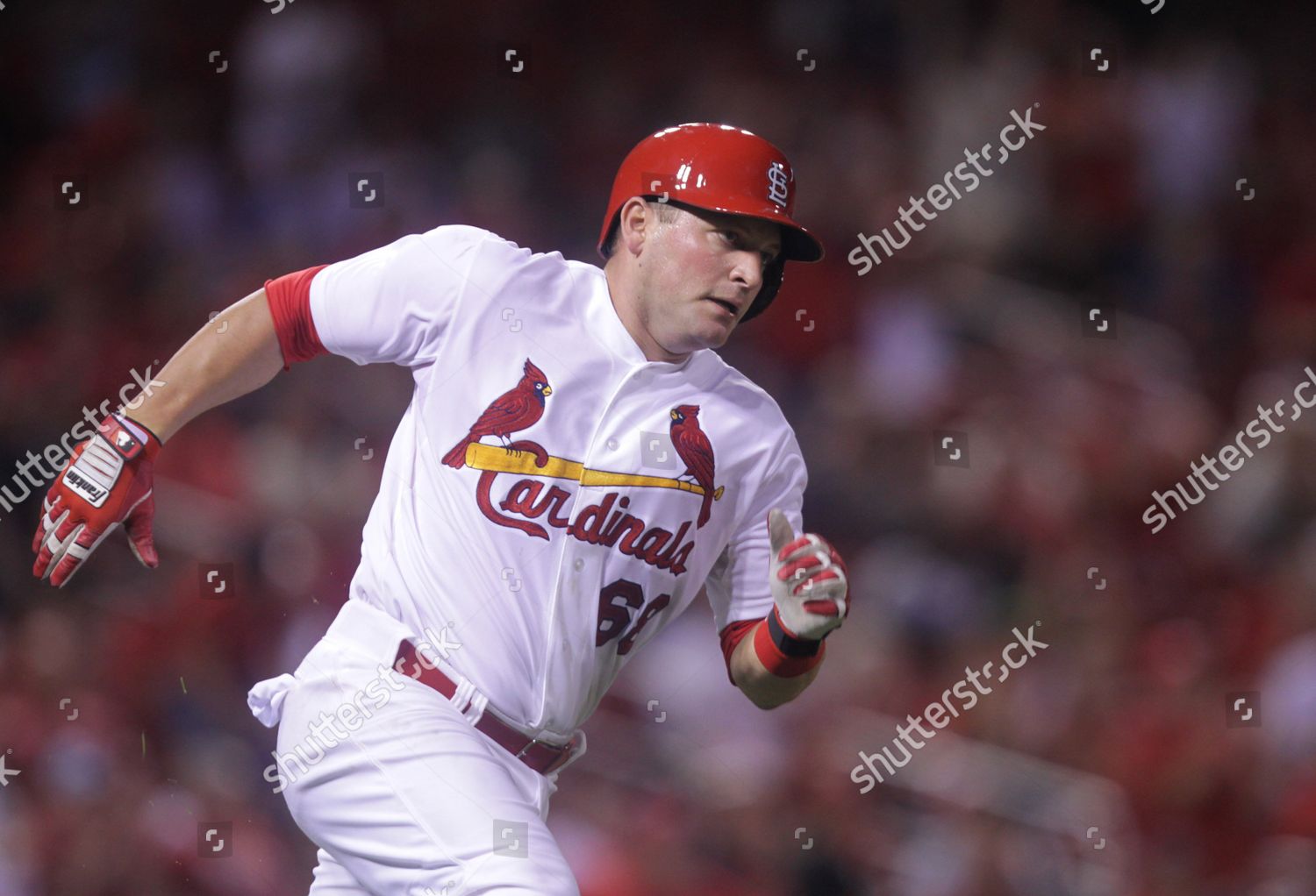St Louis Cardinals Travis Tartamella Runs Editorial Stock Photo - Stock ...