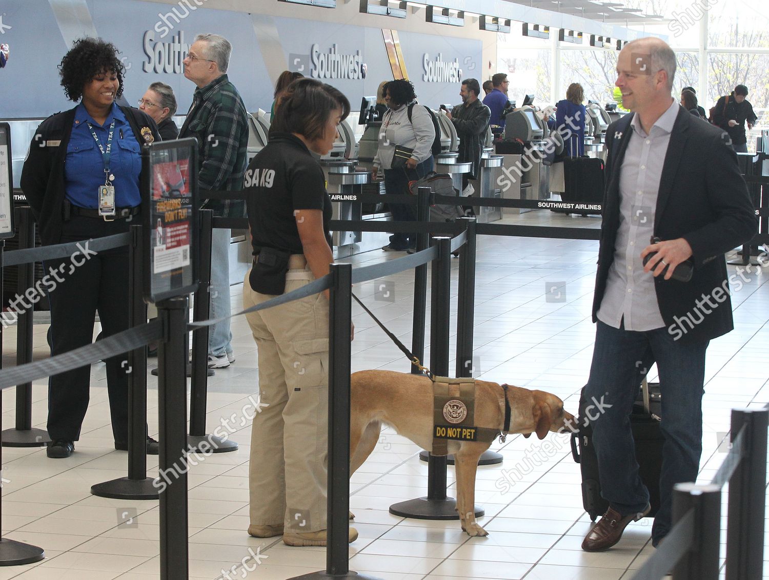 Eette Tsa Explosives Detection Canine Works Editorial Stock Photo ...