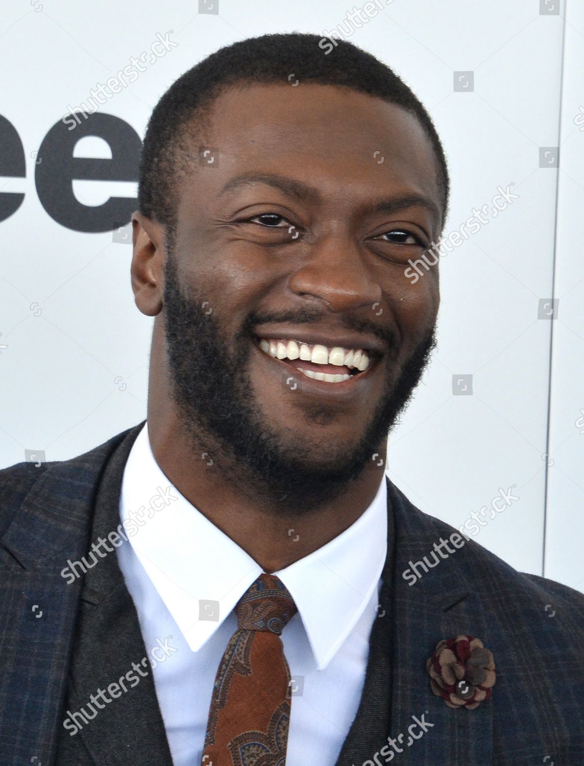 Actor Aldis Hodge Attends 32nd Annual Editorial Stock Photo - Stock ...