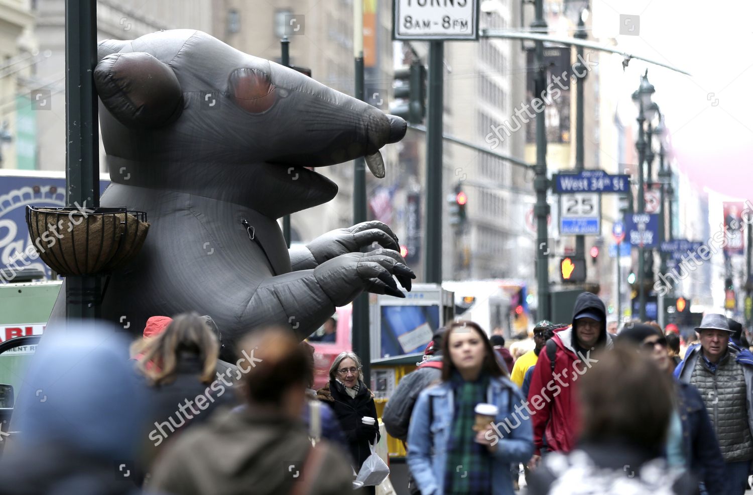 Pedestrians Walk Past Giant Inflatable Rat Editorial Stock Photo ...