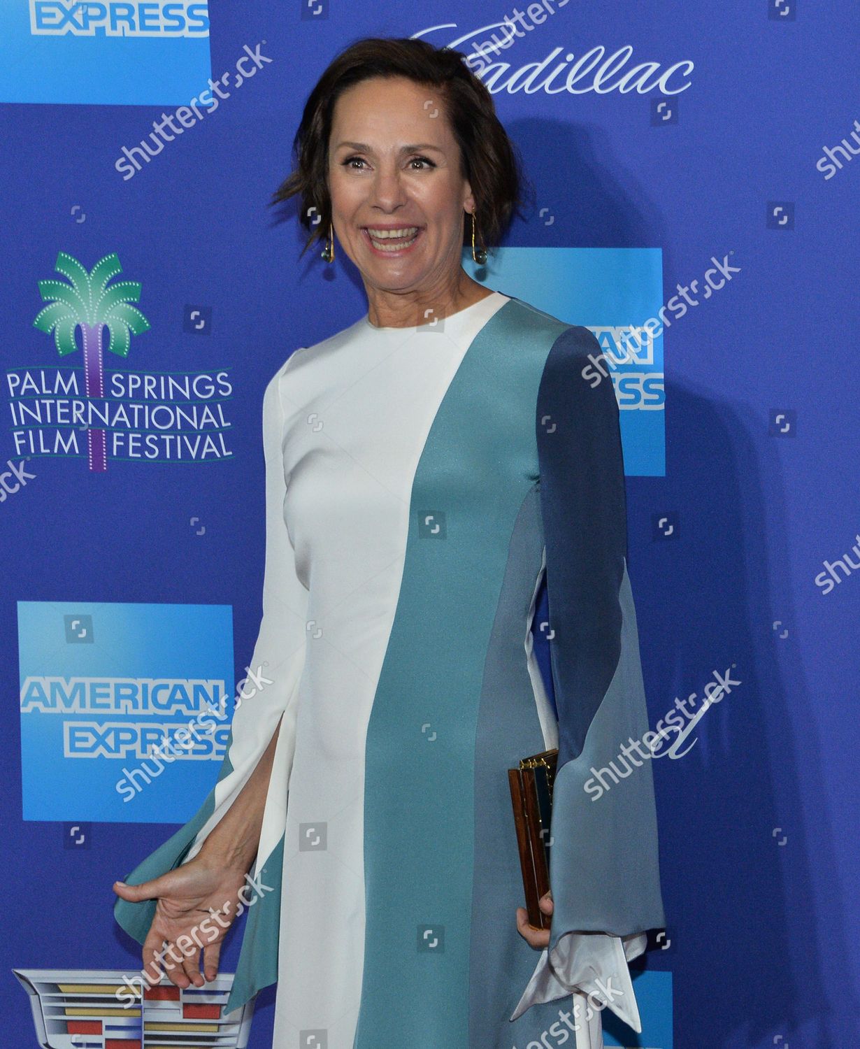 Actress Laurie Metcalf Attends 29th Annual Editorial Stock Photo ...