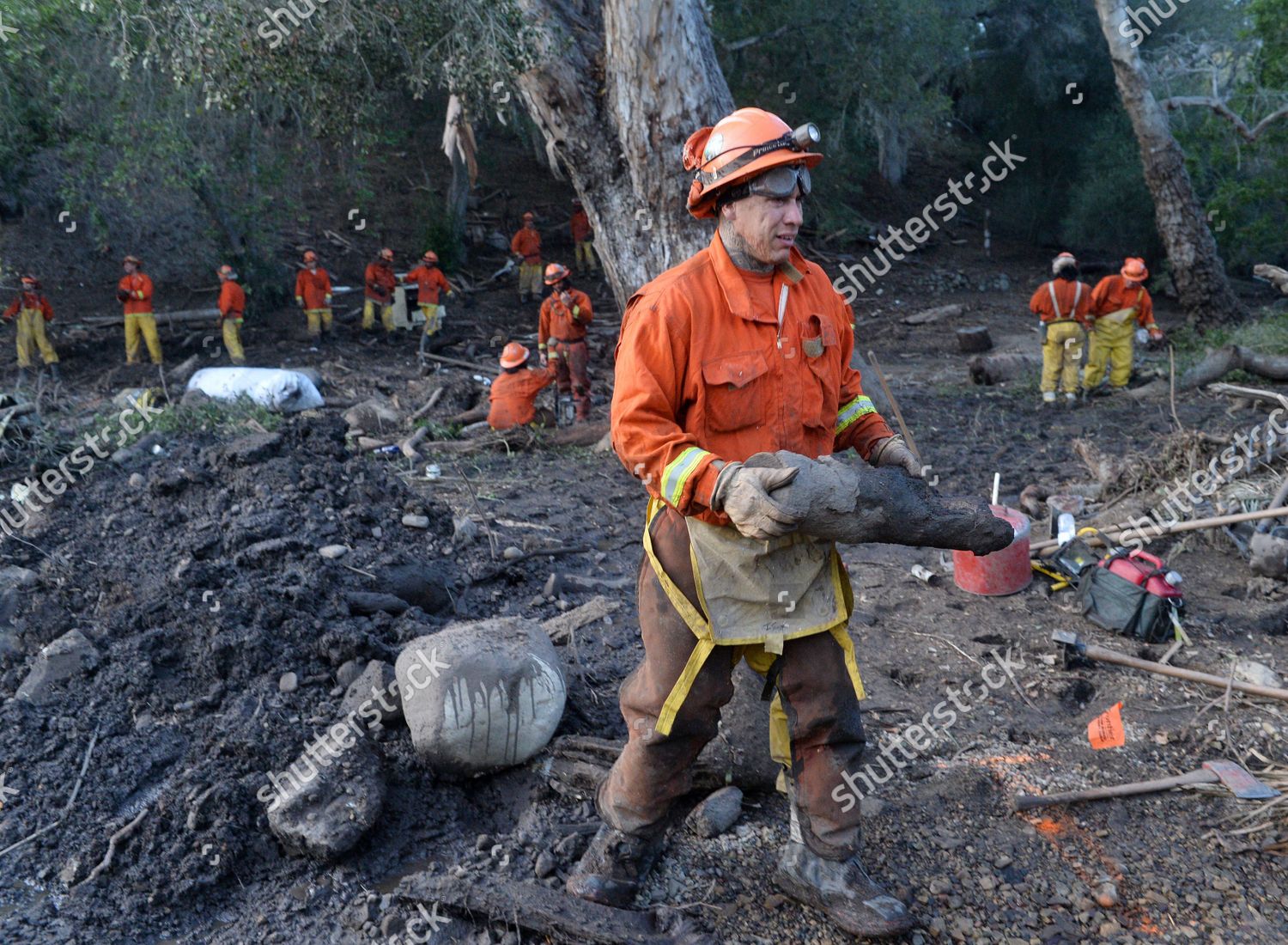 Inmate Work Crews Remove Trees Debris Editorial Stock Photo - Stock ...