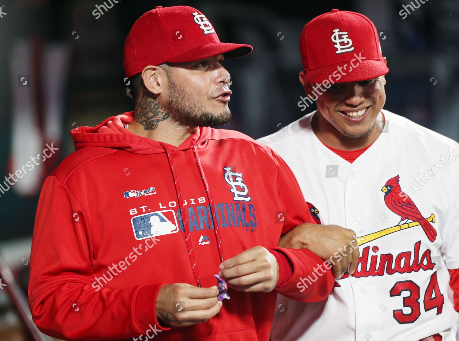St Louis Cardinals Yadier Molina L Editorial Stock Photo - Stock Image ...
