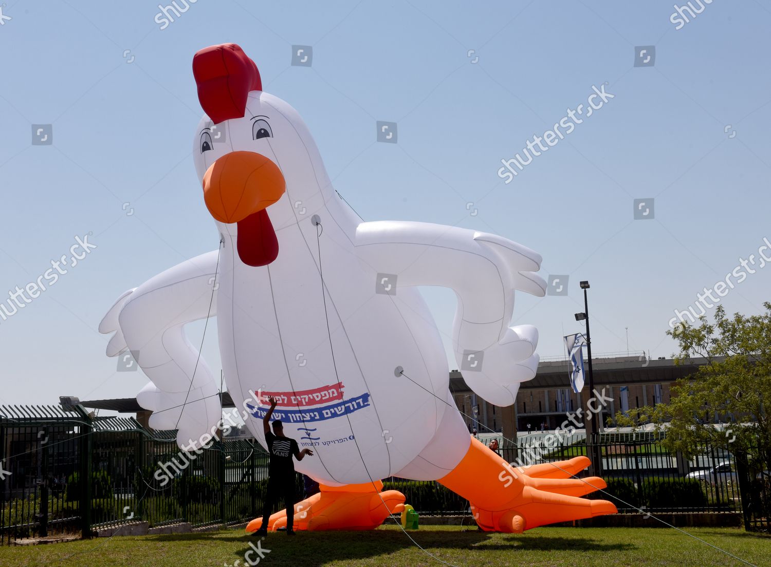 Giant Inflatable Chicken 32 Feet Slogan Editorial Stock Photo - Stock ...