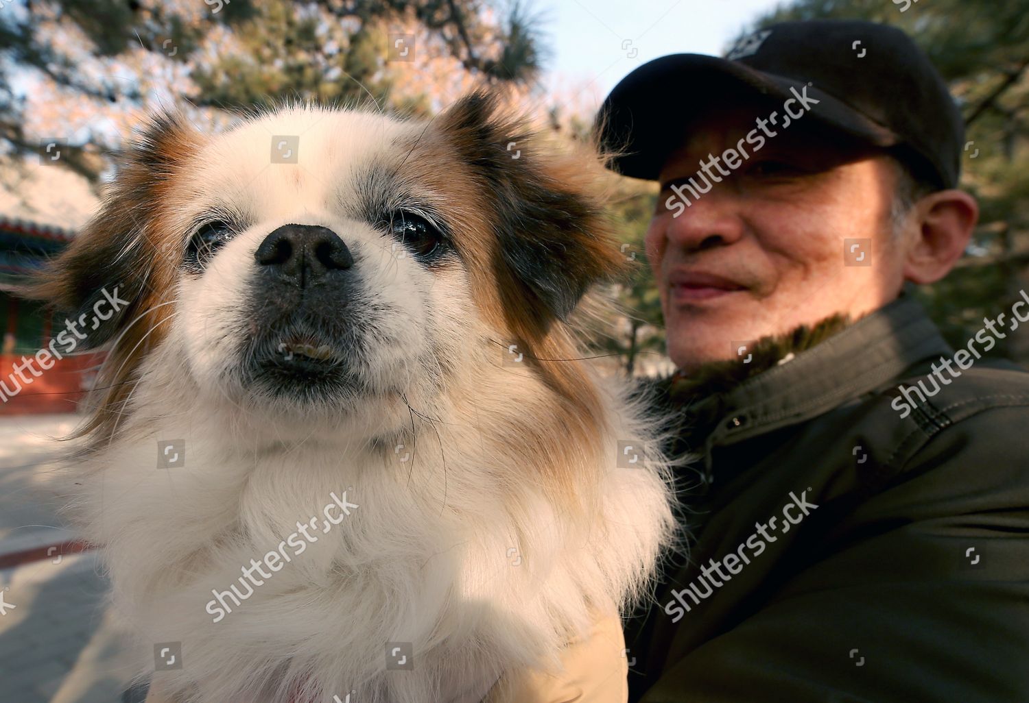 Chinese Man Holds His Dog While Editorial Stock Photo - Stock Image ...
