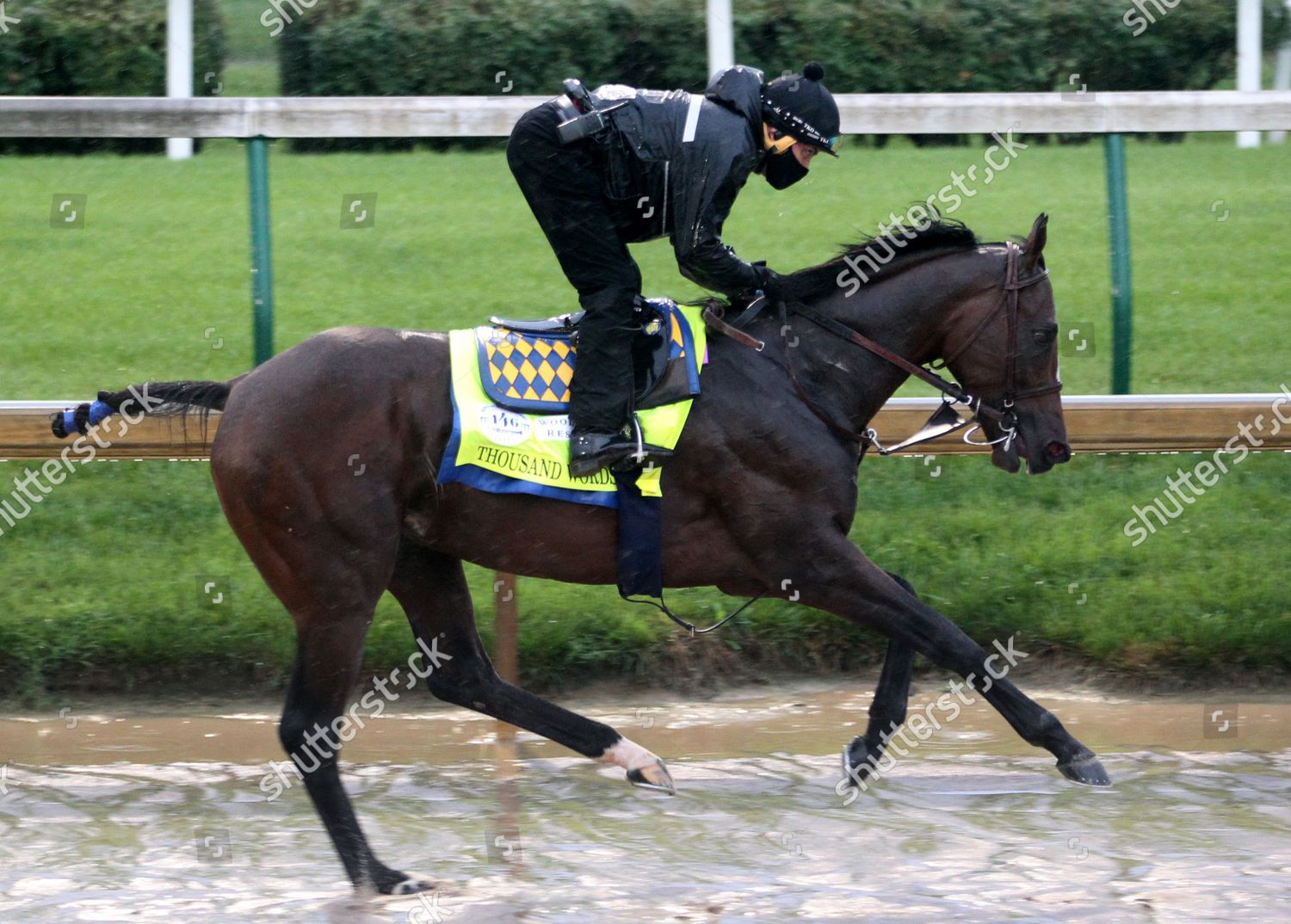 Kentucky Derby Hopeful Thousand Words Gallops Editorial Stock Photo ...