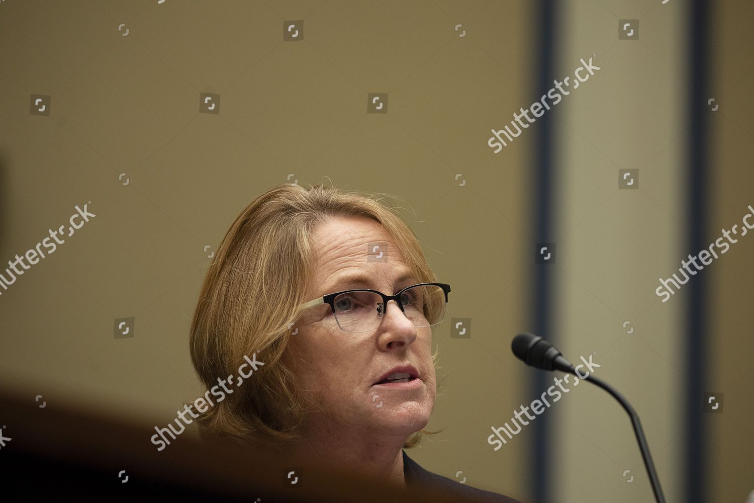 Erin M Collins National Taxpayer Advocate Editorial Stock Photo - Stock ...