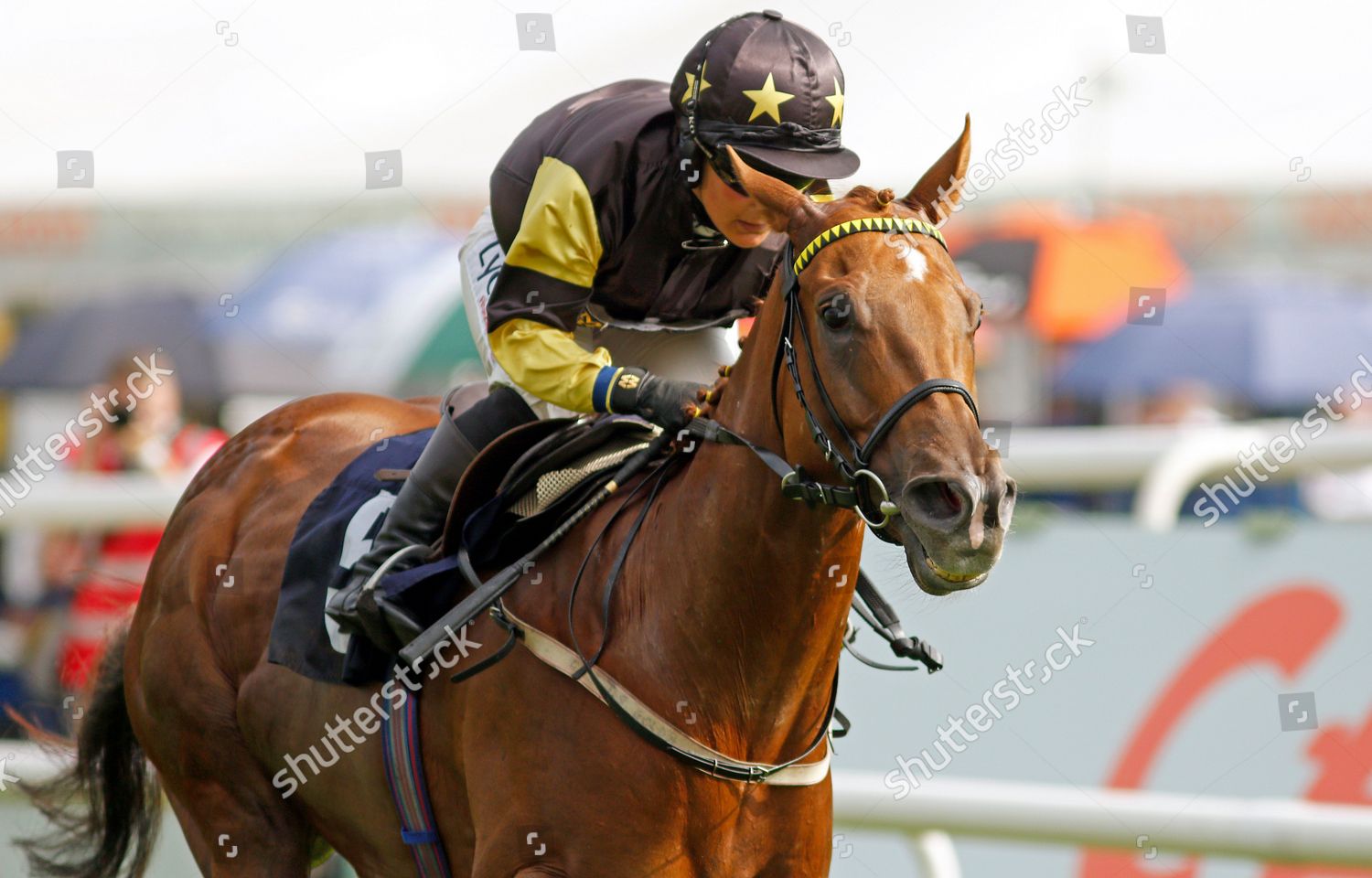Call Me Ginger Amie Waugh Wins Editorial Stock Photo - Stock Image ...