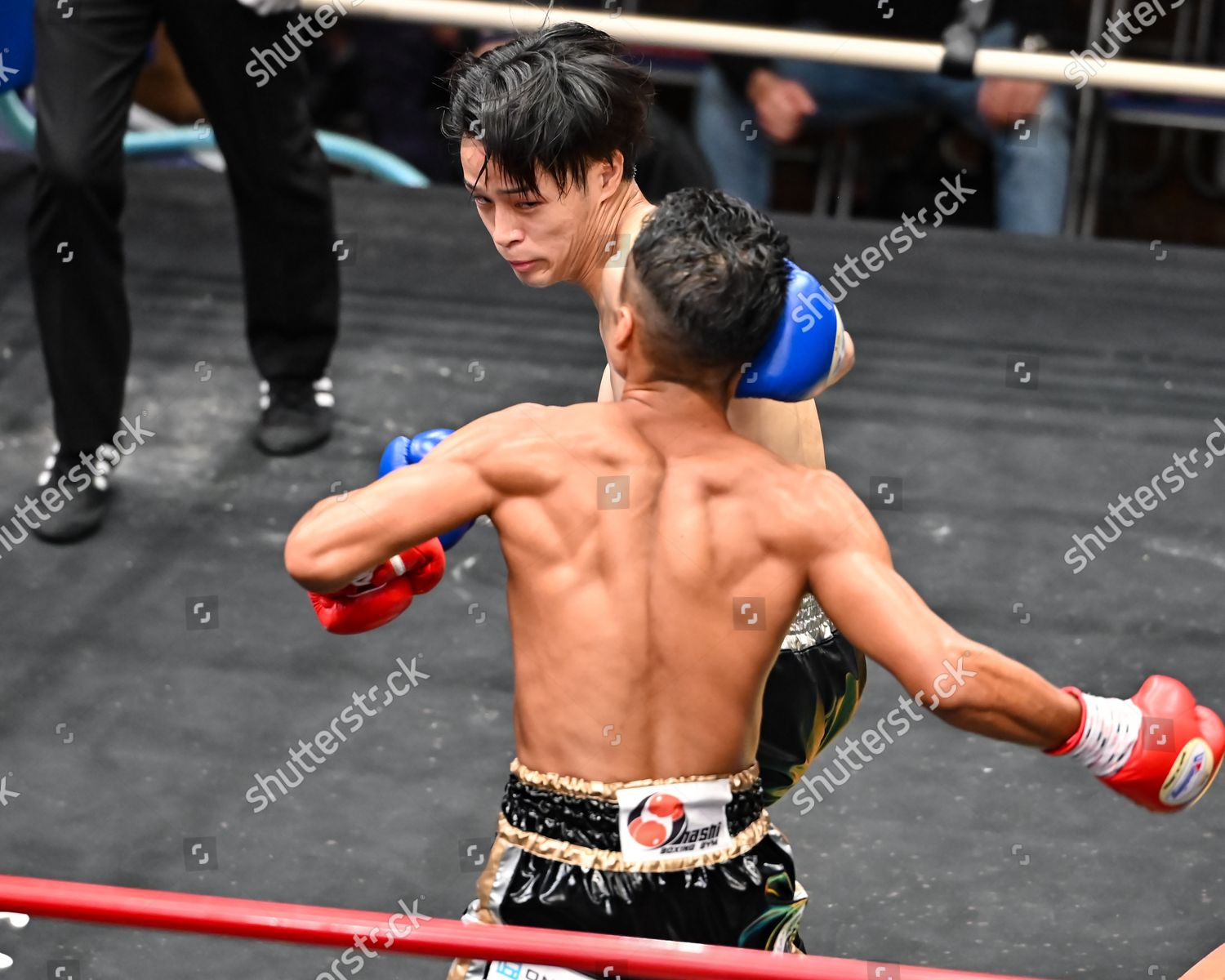 Bt Yoshiki Takei Azusa Takeda Boxing Editorial Stock Photo - Stock ...