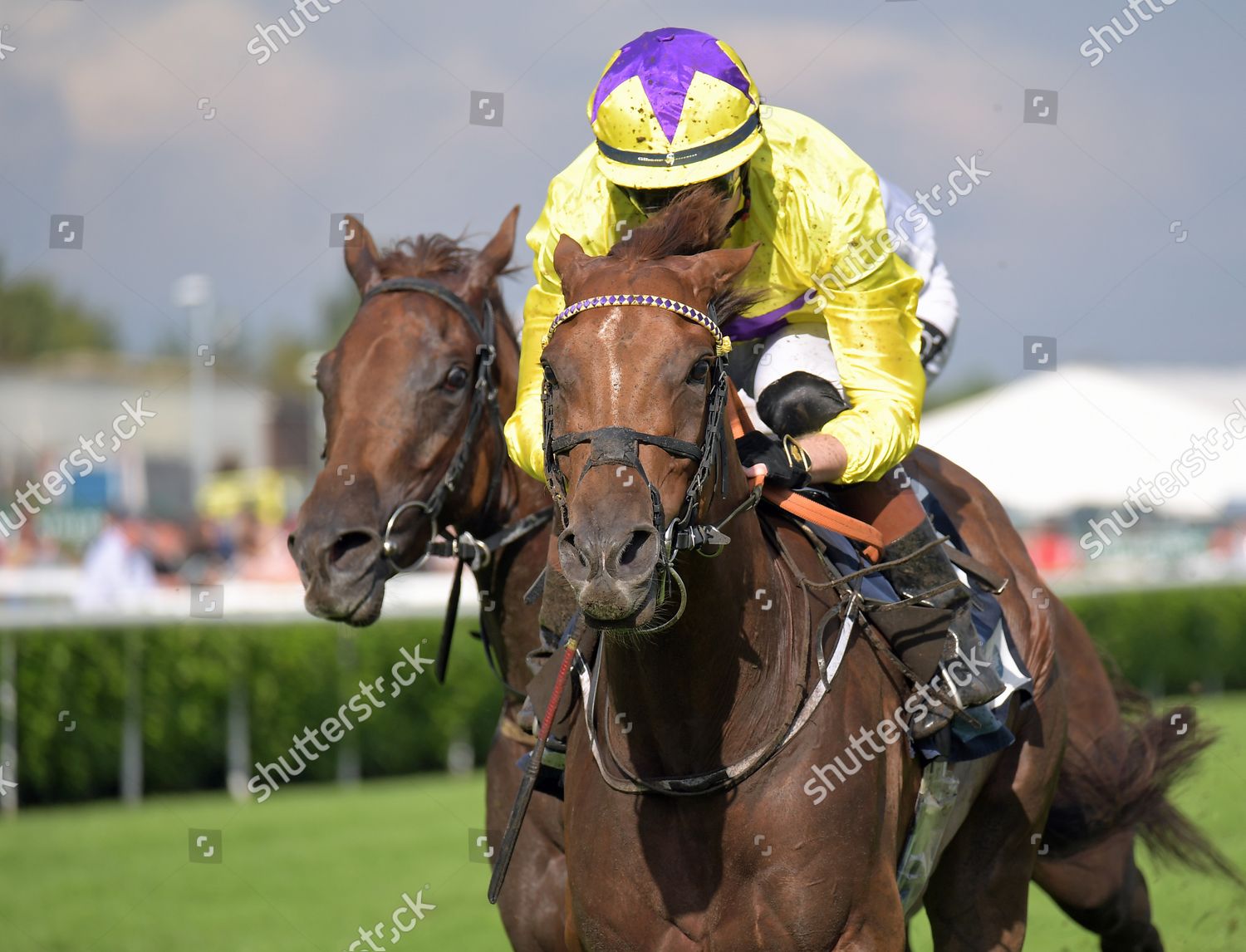 Sea La Rosa Adam Farragher Wins Editorial Stock Photo - Stock Image ...
