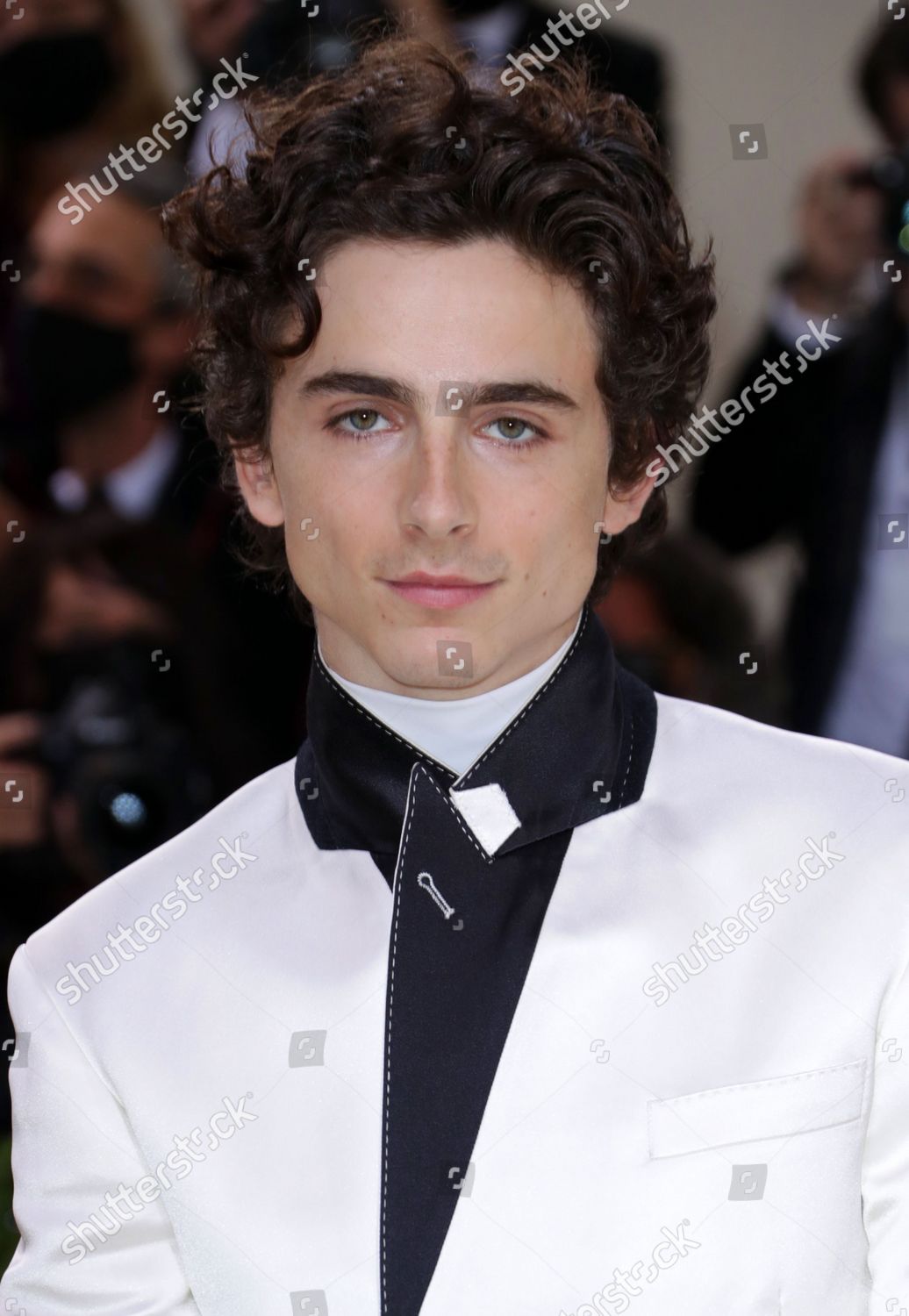 Timothee Chalamet Editorial Stock Photo - Stock Image | Shutterstock
