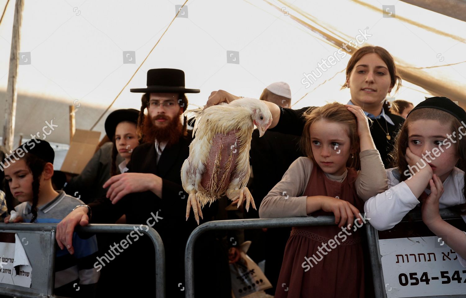 Ultraorthodox Jewish Woman Purchases Chicken Kapparot Editorial Stock ...