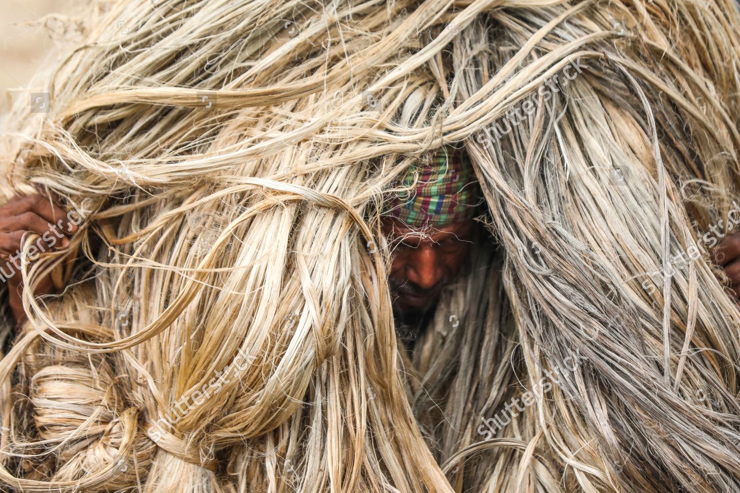 Workers Carry Jute Bank Padma River Editorial Stock Photo - Stock Image ...